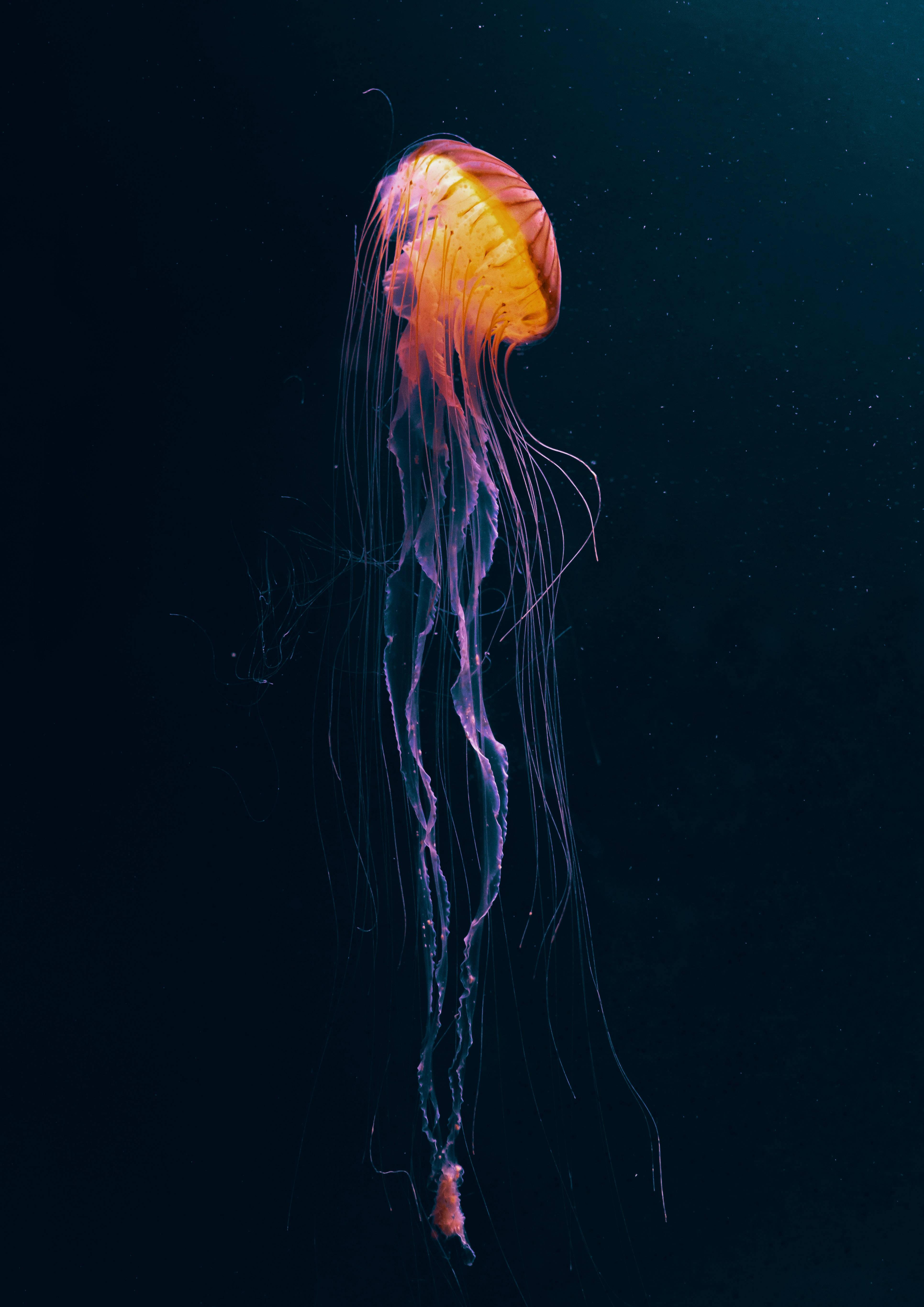 Deep Anime Wallpapers - Top Free Deep Anime Backgrounds - WallpaperAccess