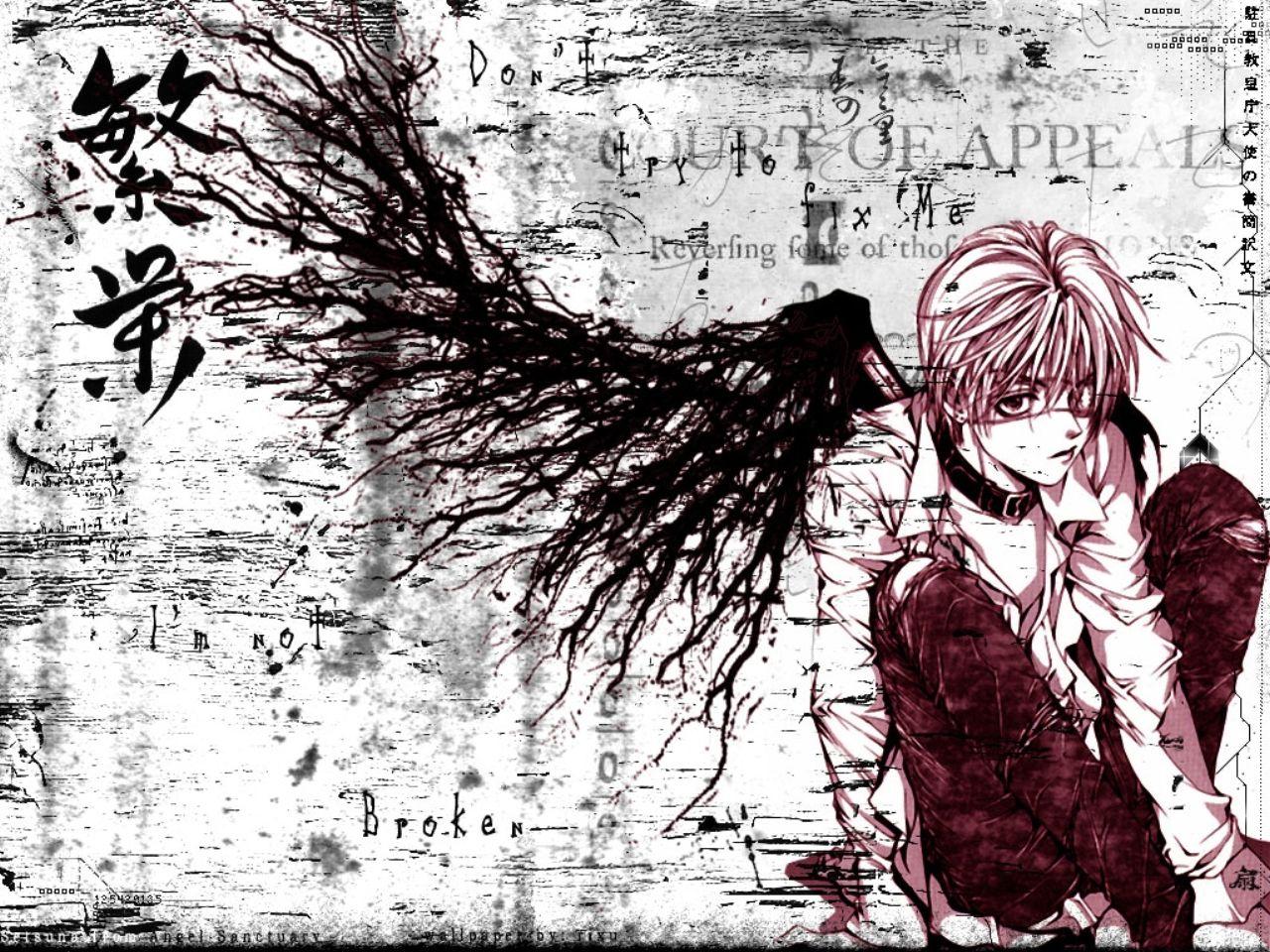 Angel Sanctuary Wallpapers - Top Free Angel Sanctuary Backgrounds ...