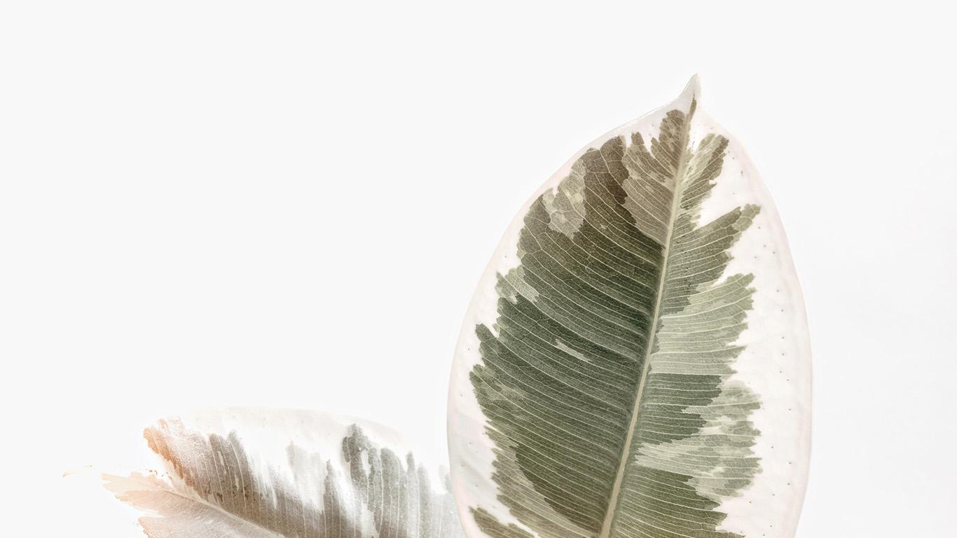 White Minimalist Laptop Wallpapers - Top Free White Minimalist Laptop ...