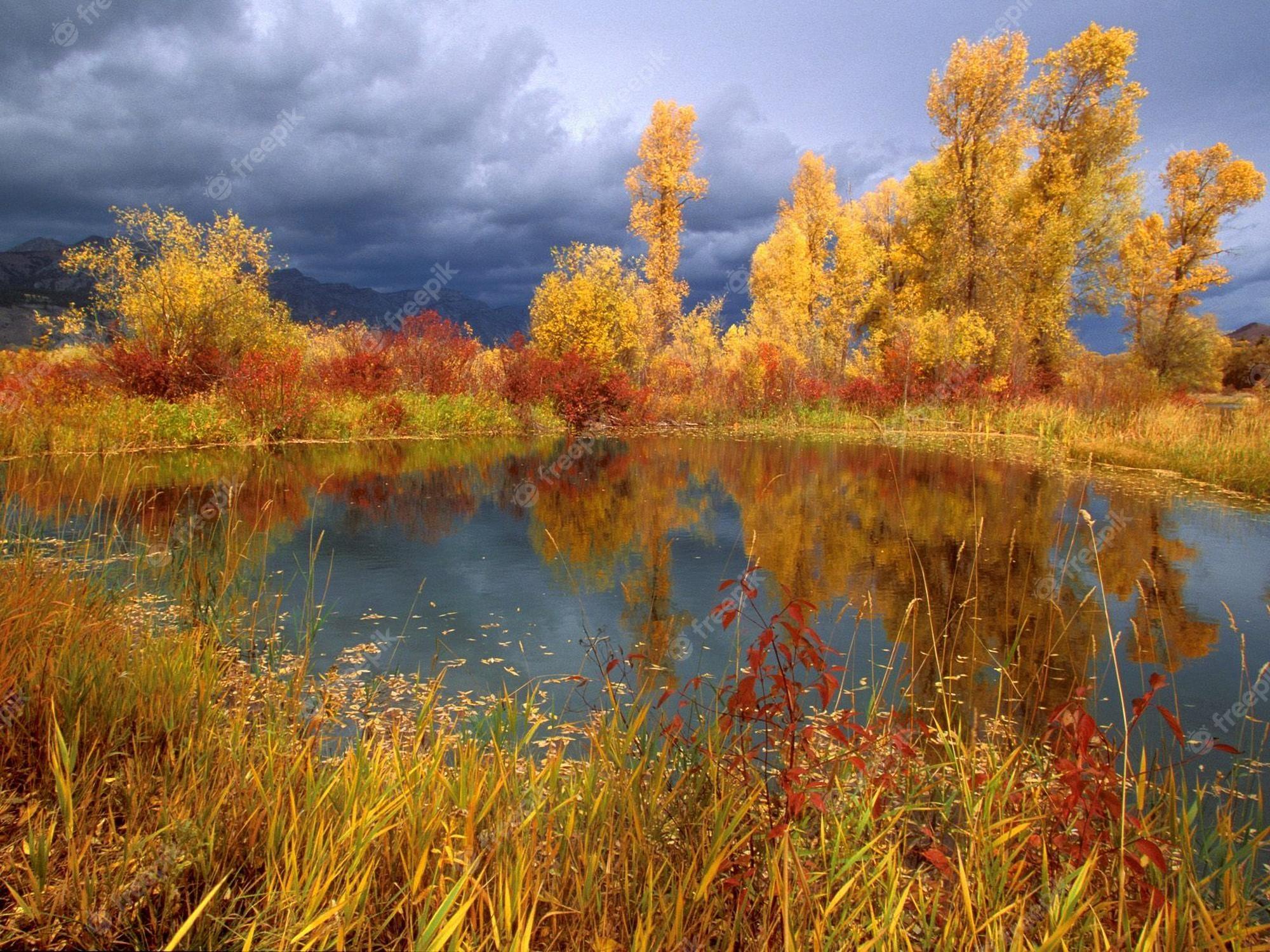 Autumn Storm Wallpapers - Top Free Autumn Storm Backgrounds ...
