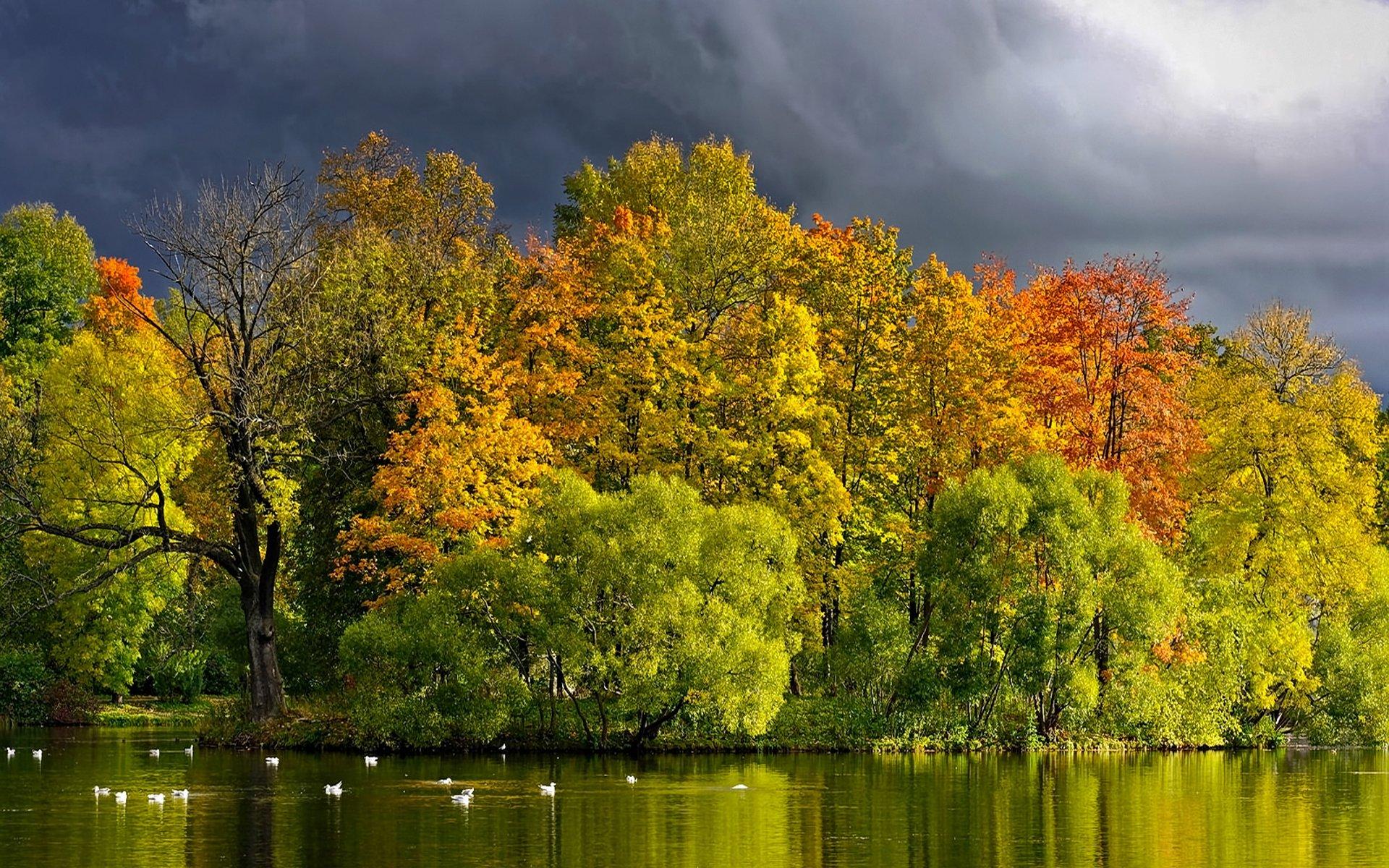 Autumn Storm Wallpapers - Top Free Autumn Storm Backgrounds ...