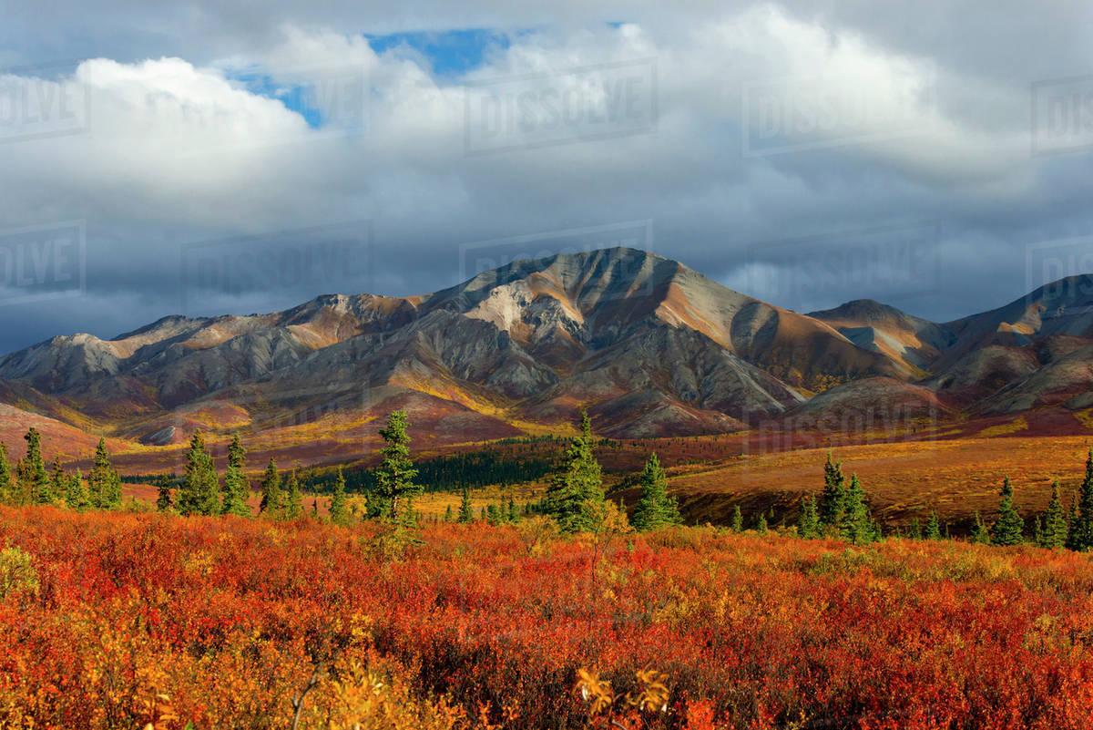 Autumn Storm Wallpapers - Top Free Autumn Storm Backgrounds ...