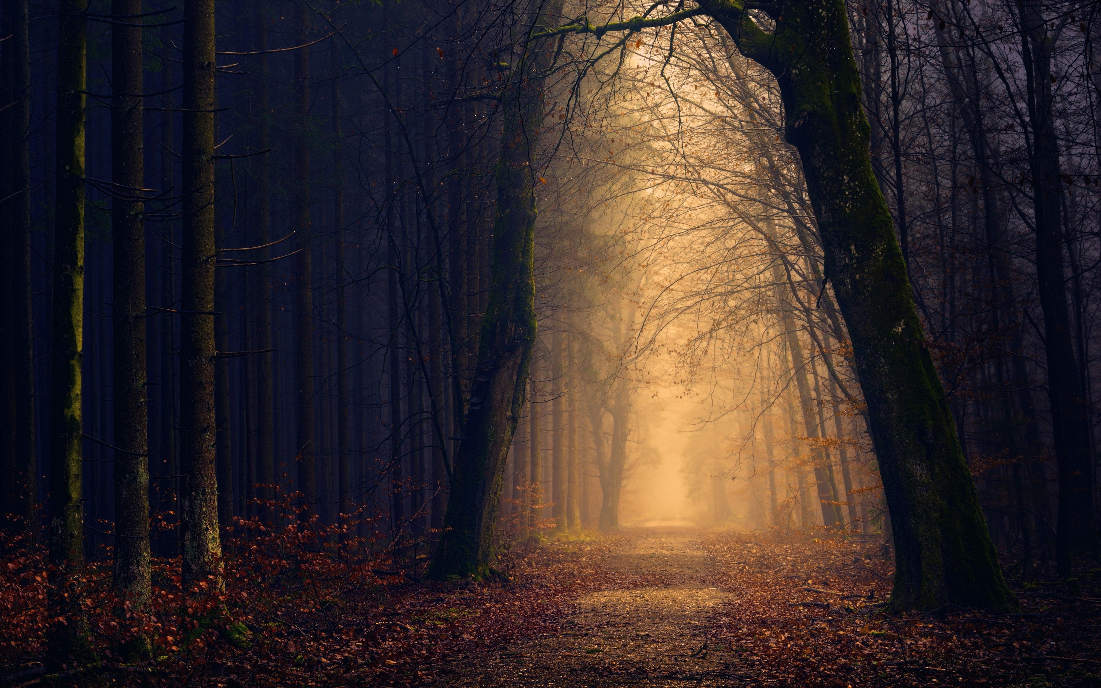 Autumn Storm Wallpapers - Top Free Autumn Storm Backgrounds ...