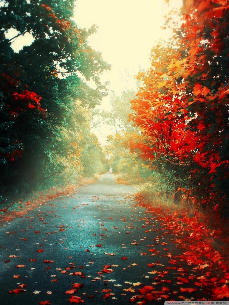 Autumn Storm Wallpapers - Top Free Autumn Storm Backgrounds ...