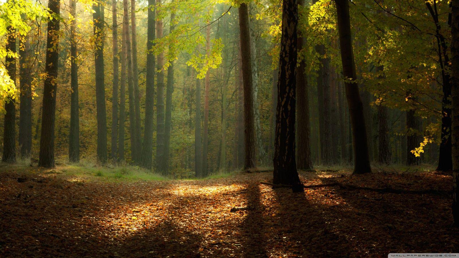 4K Serene Landscapes Wallpapers - Top Free 4K Serene Landscapes ...