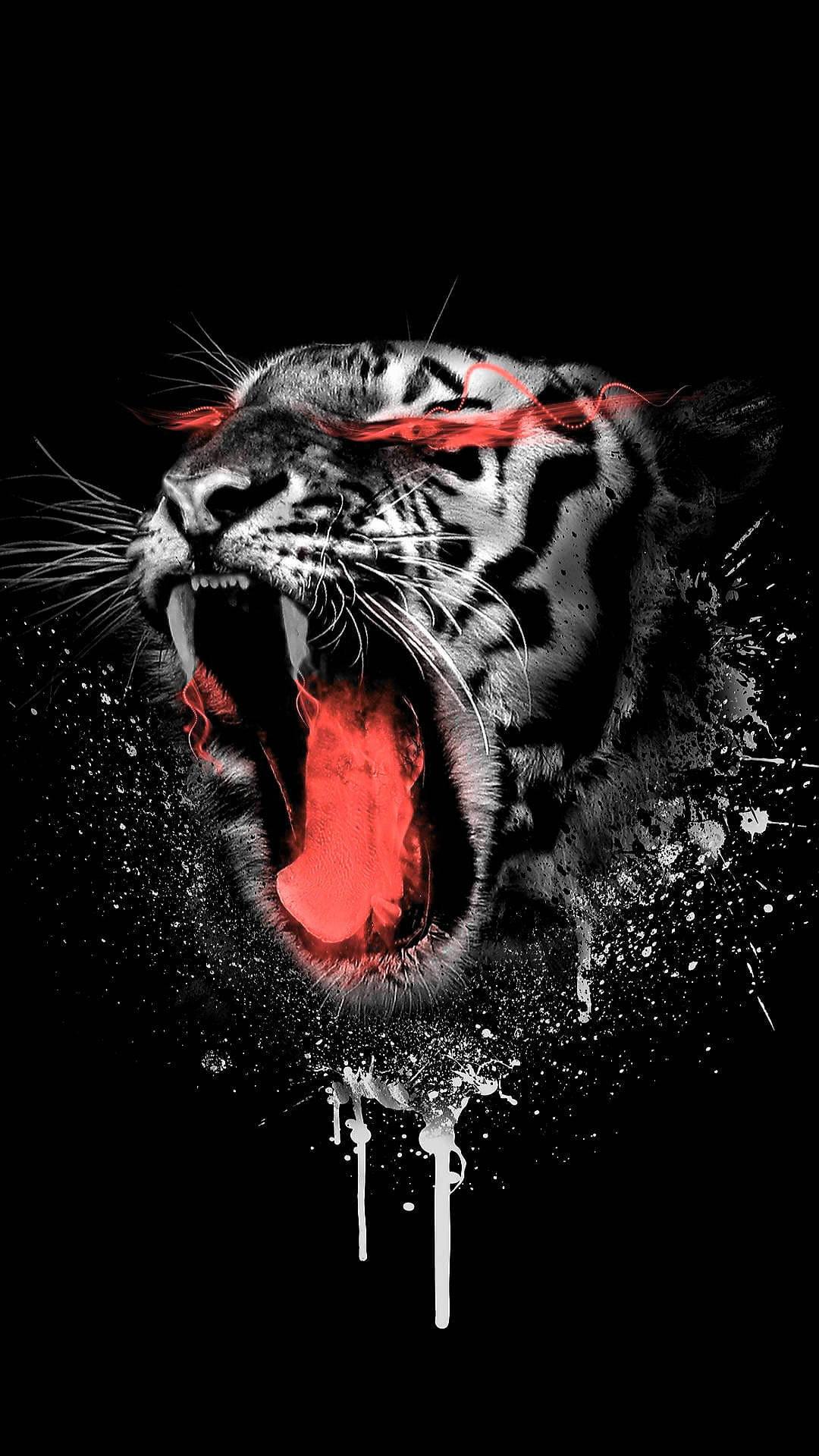 Angry Tiger Eyes Wallpapers - Top Free Angry Tiger Eyes Backgrounds ...