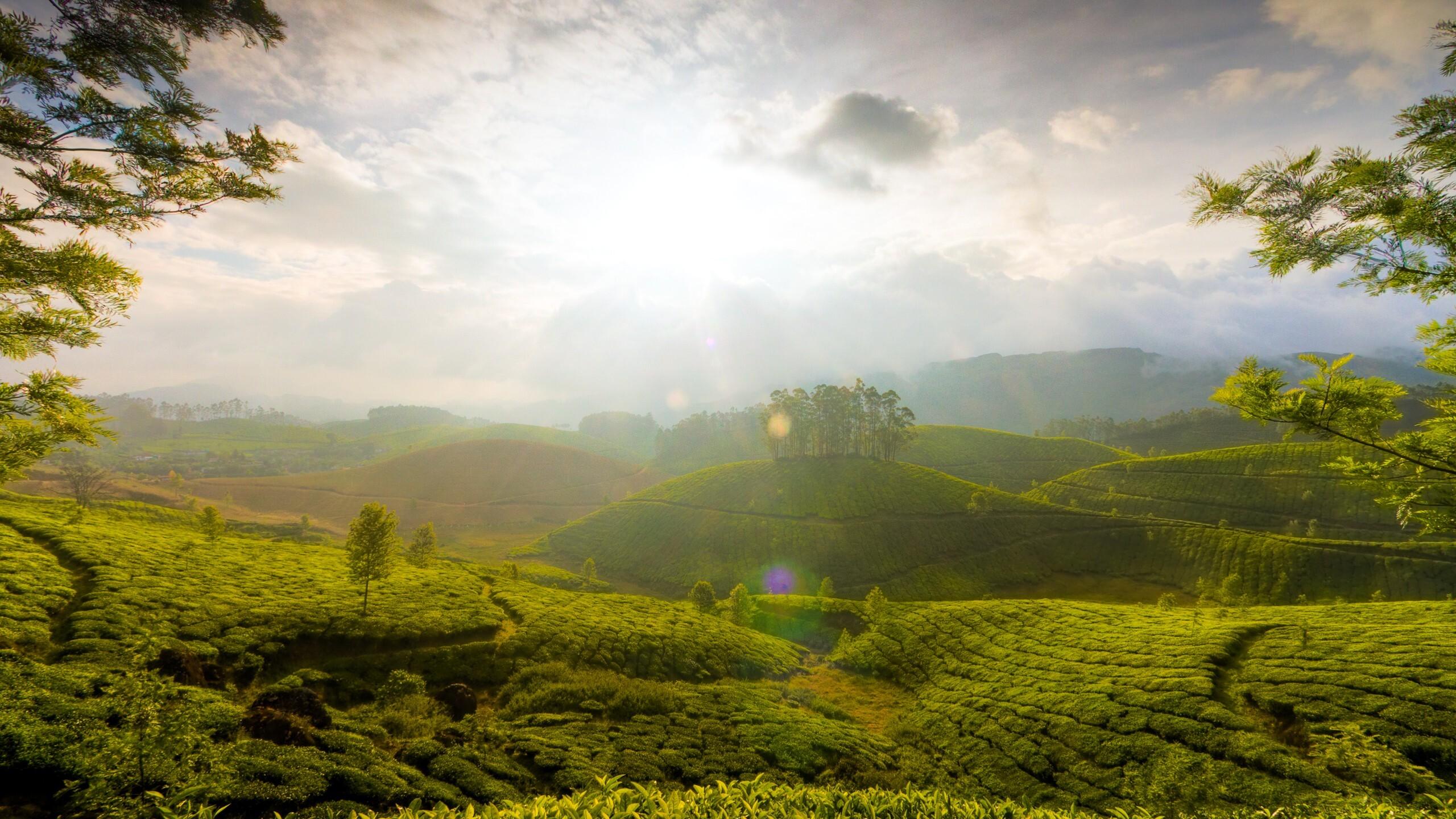 India 8k Wallpapers - Top Free India 8k Backgrounds - WallpaperAccess