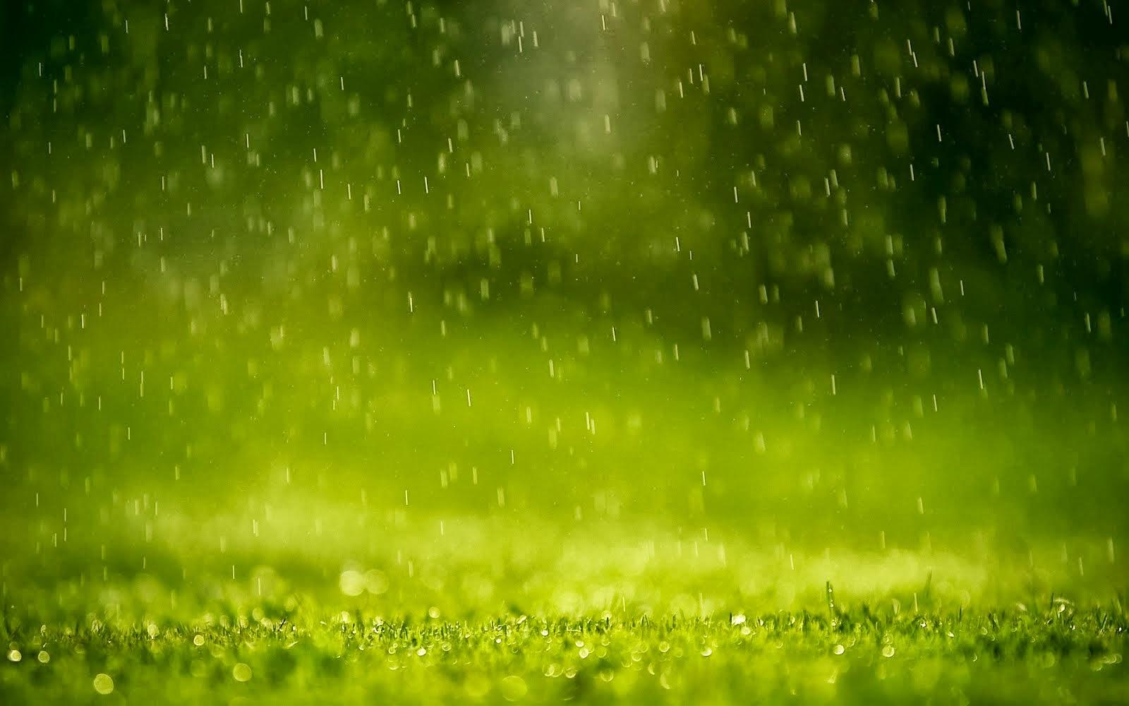 Rain Gif Wallpapers - Top Free Rain Gif Backgrounds - WallpaperAccess