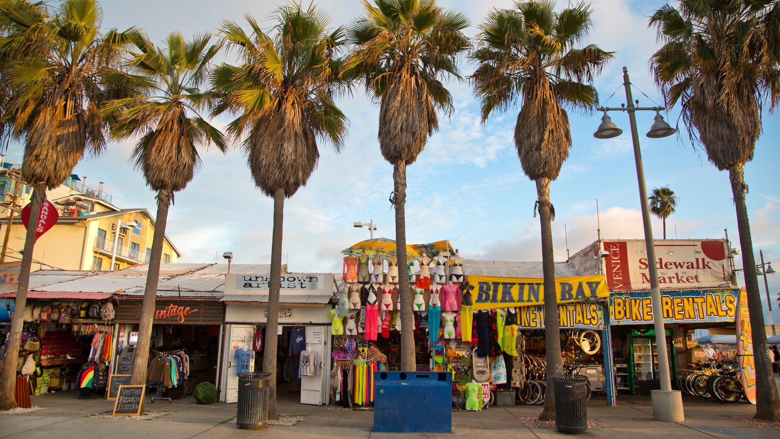 Venice Beach Los Angeles Wallpapers - Top Free Venice Beach Los Angeles ...