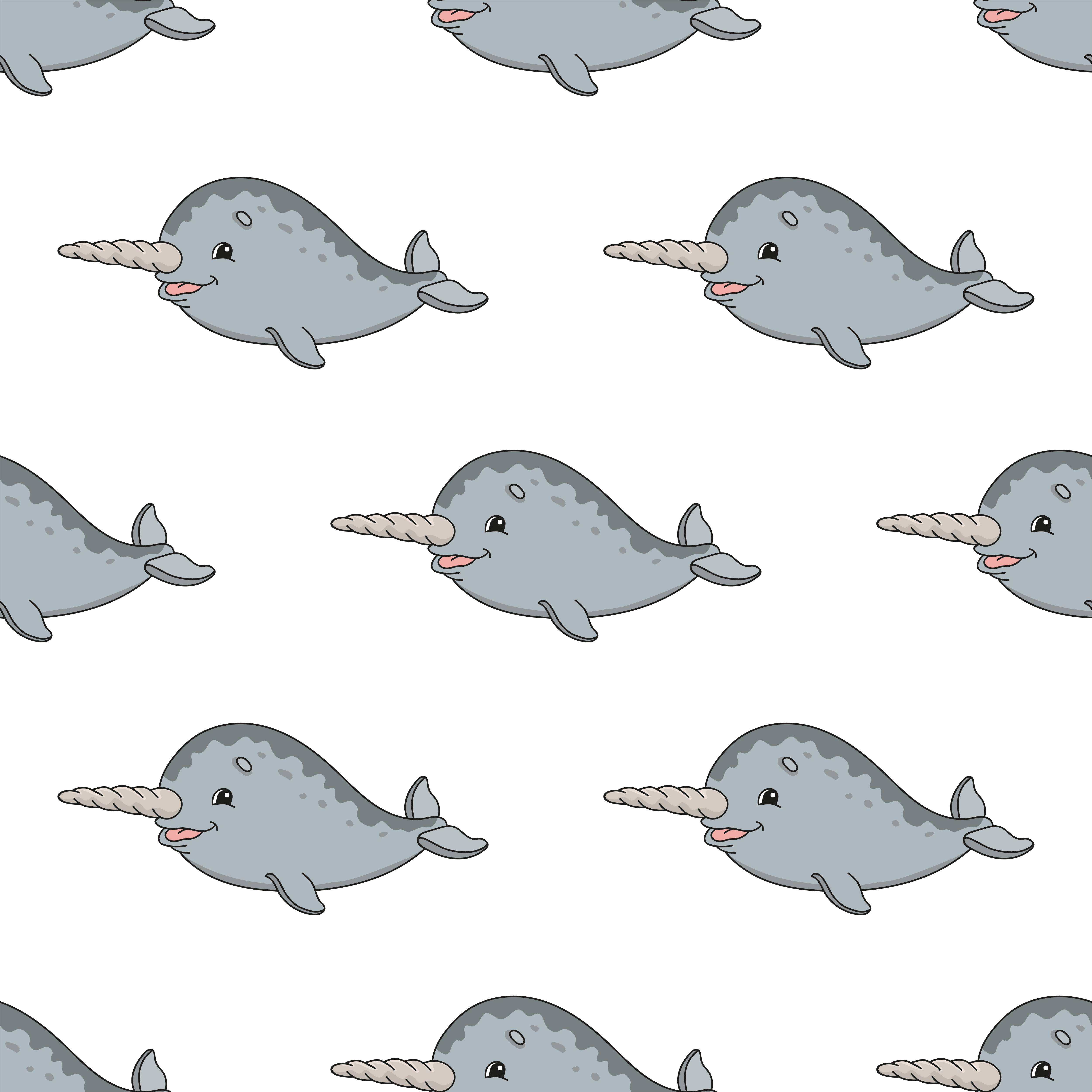 Baby Narwhal Wallpapers - Top Free Baby Narwhal Backgrounds ...
