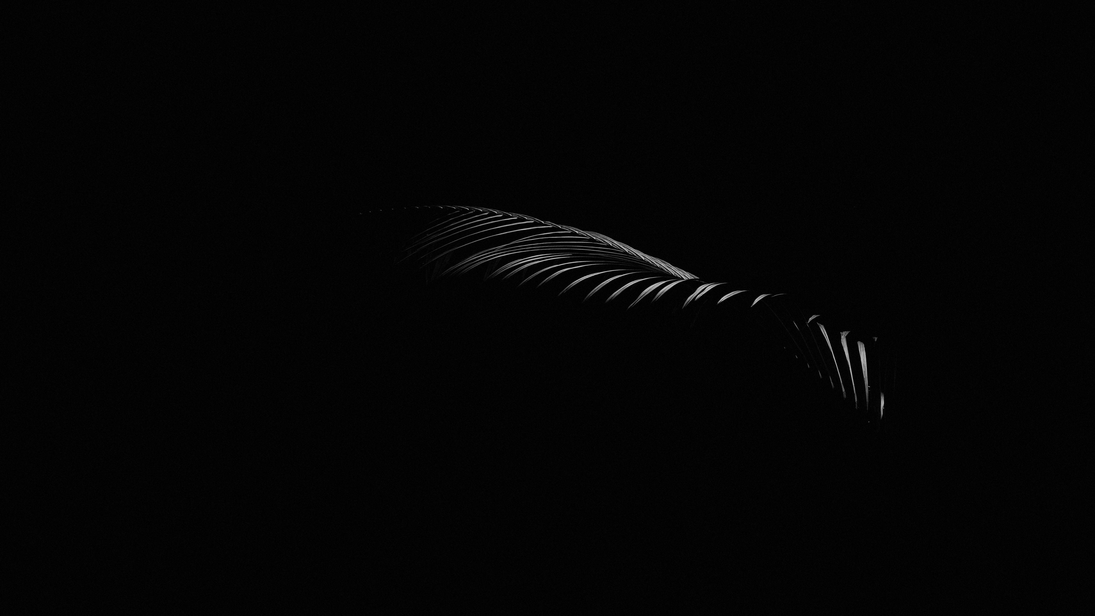 Dark Branches Wallpapers - Top Free Dark Branches Backgrounds ...