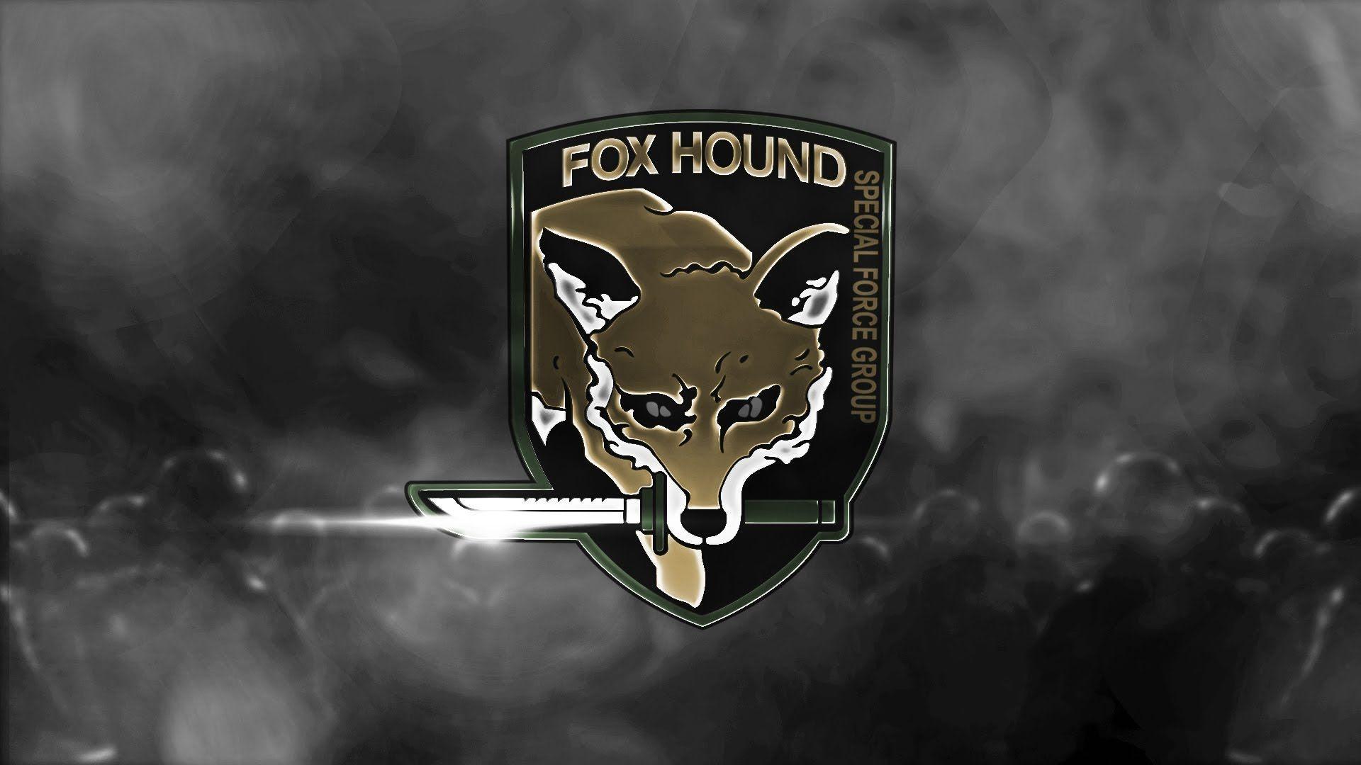Foxhound Wallpapers - Top Free Foxhound Backgrounds - WallpaperAccess