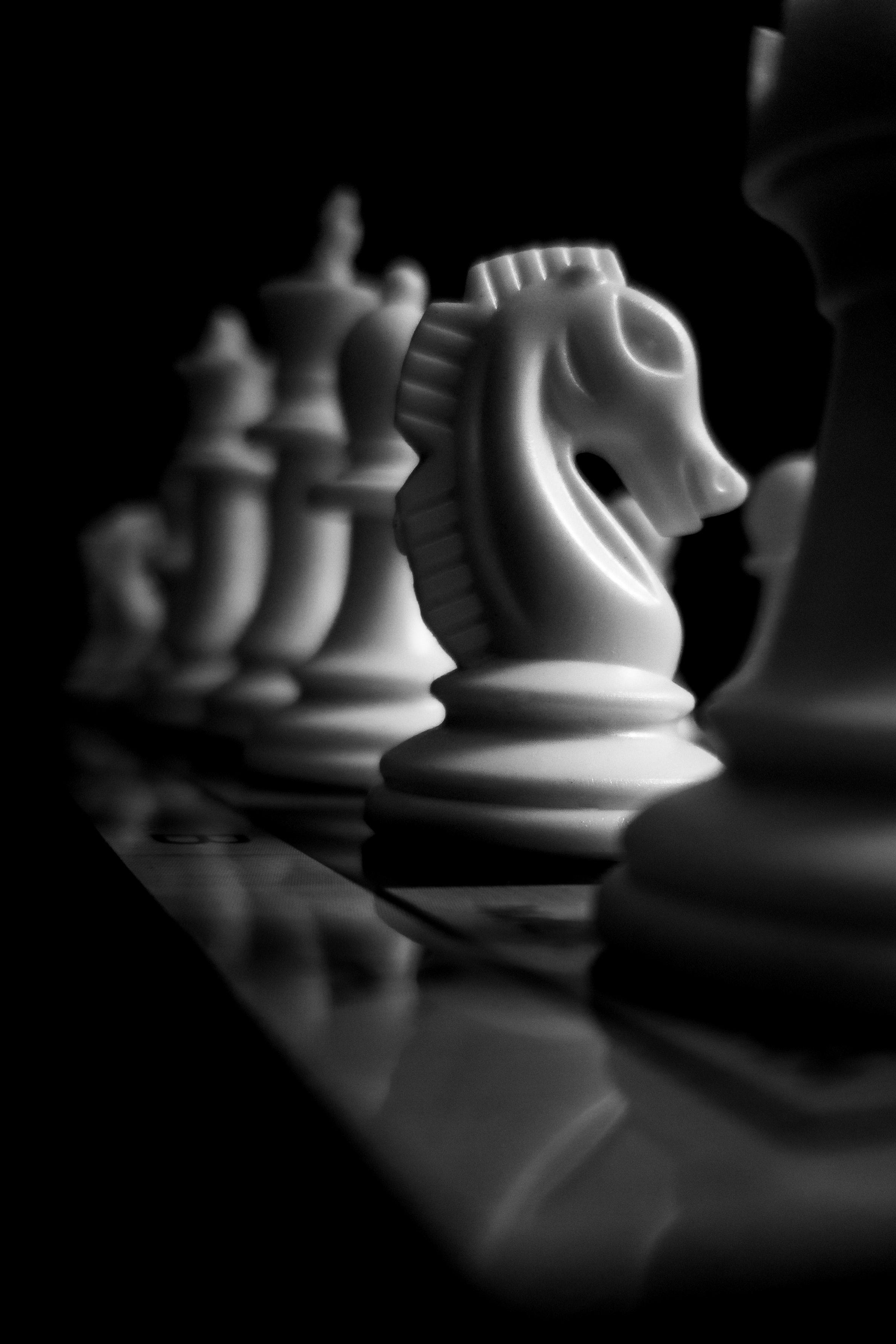 Chess Knight Wallpapers - Top Free Chess Knight Backgrounds ...