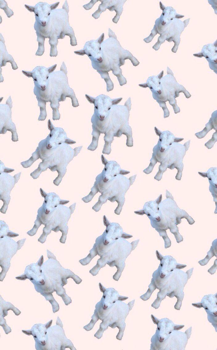 Cool Goat Wallpapers - Top Free Cool Goat Backgrounds - WallpaperAccess