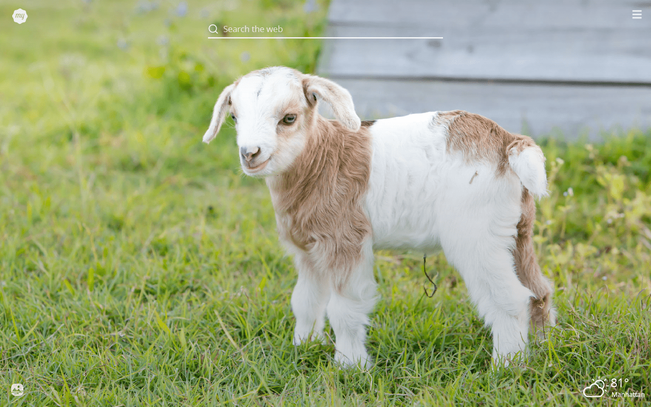 Cool Goat Wallpapers - Top Free Cool Goat Backgrounds - WallpaperAccess