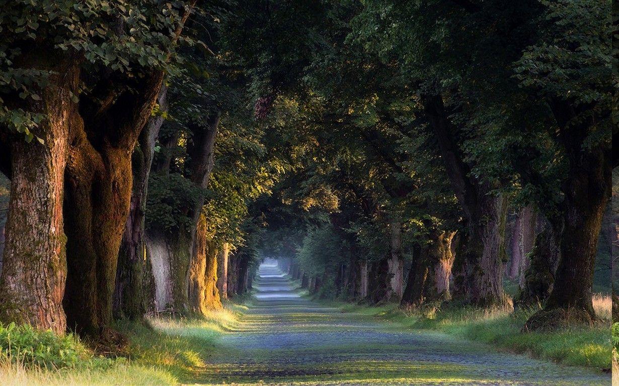 Germany Landscape Wallpapers - Top Free Germany Landscape Backgrounds ...