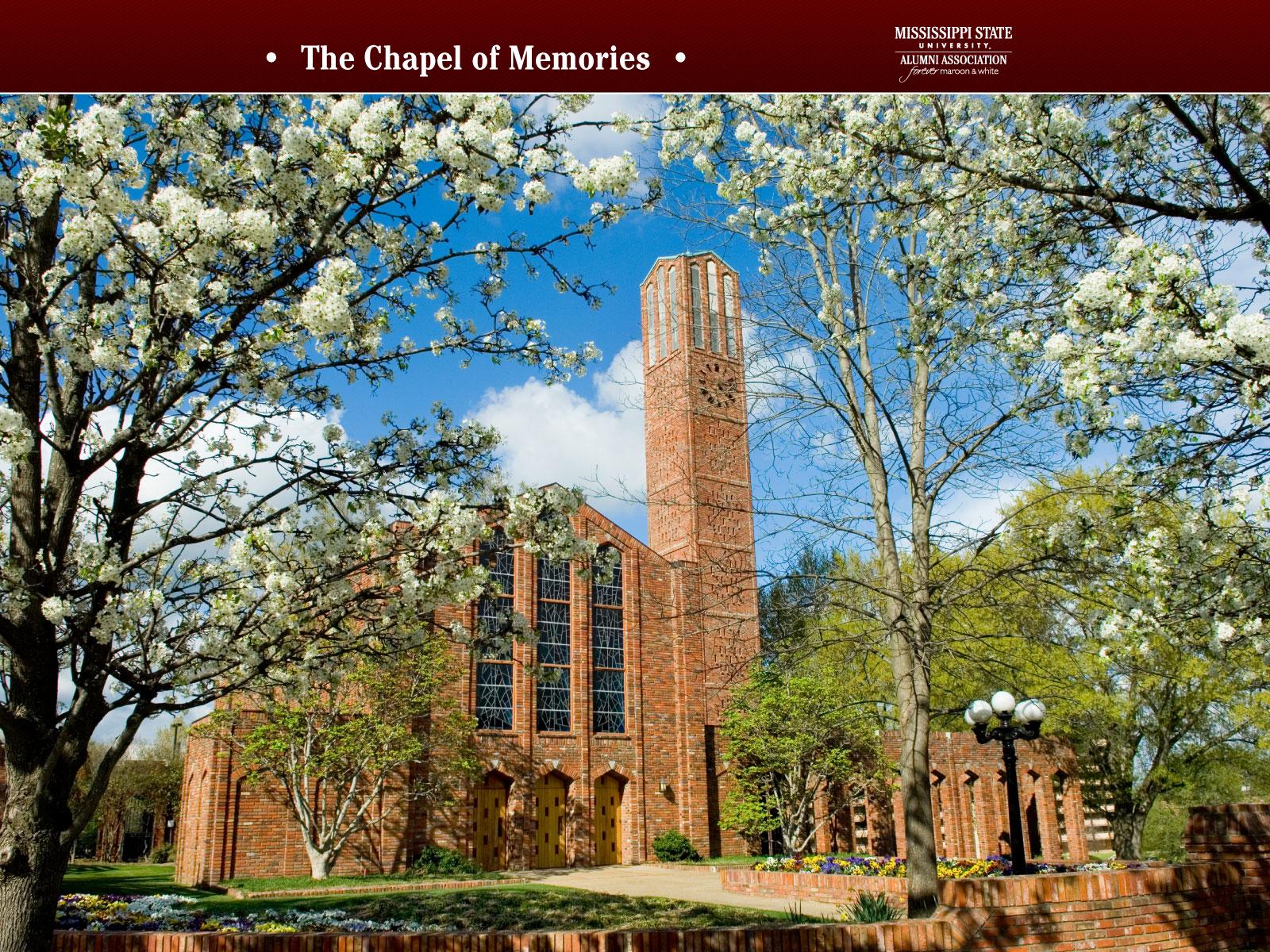 Mississippi State University Wallpapers - Top Free Mississippi State ...