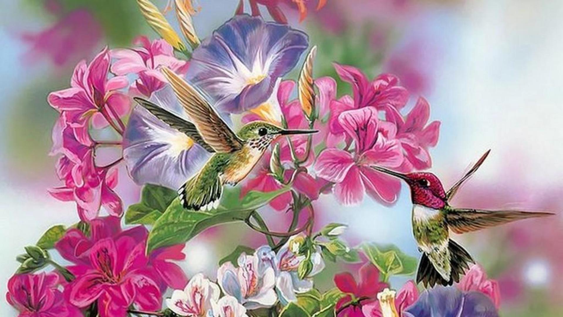 Hummingbirds and Flowers Wallpapers - Top Free Hummingbirds and Flowers ...