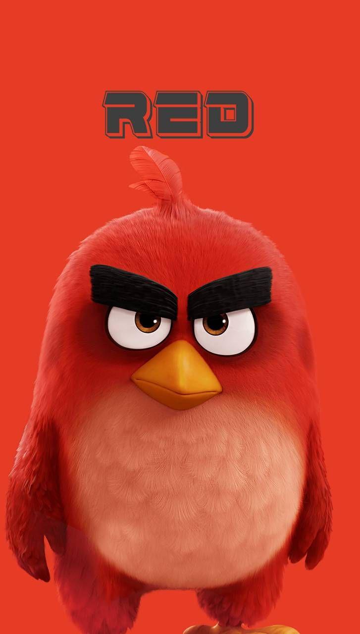 Cool Angry Birds Wallpapers - Top Free Cool Angry Birds Backgrounds ...