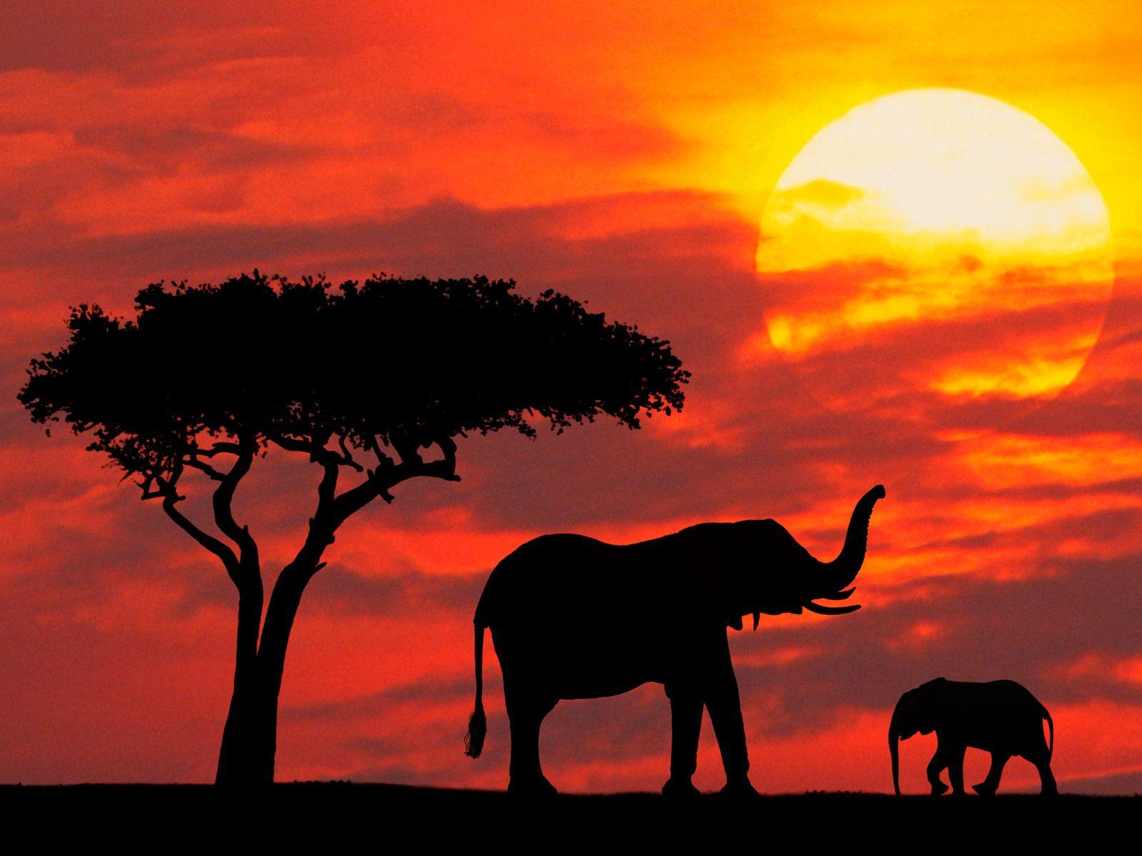 Kenya Desktop Wallpapers - Top Free Kenya Desktop Backgrounds ...