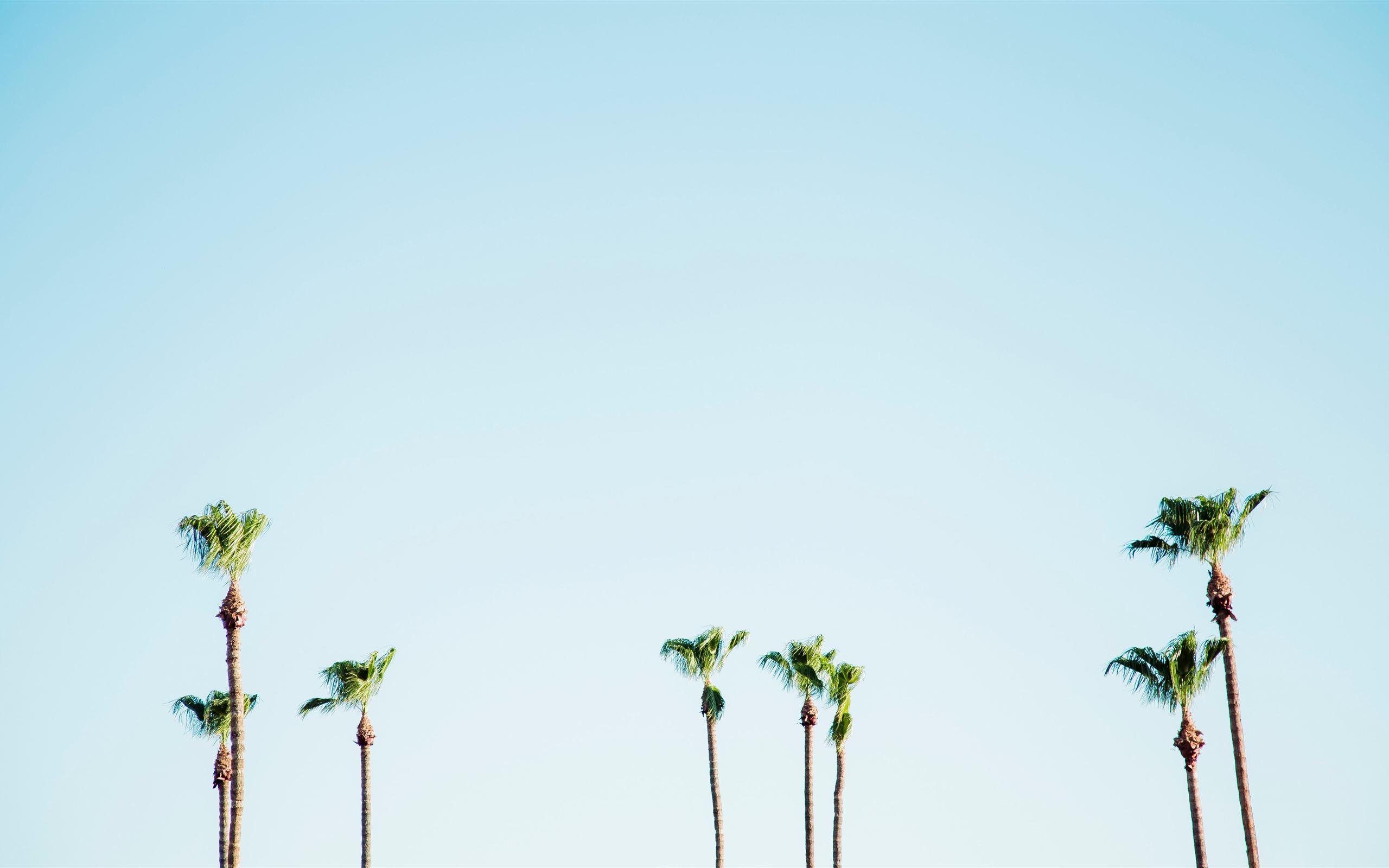 Scottsdale Arizona Wallpapers - Top Free Scottsdale Arizona Backgrounds ...