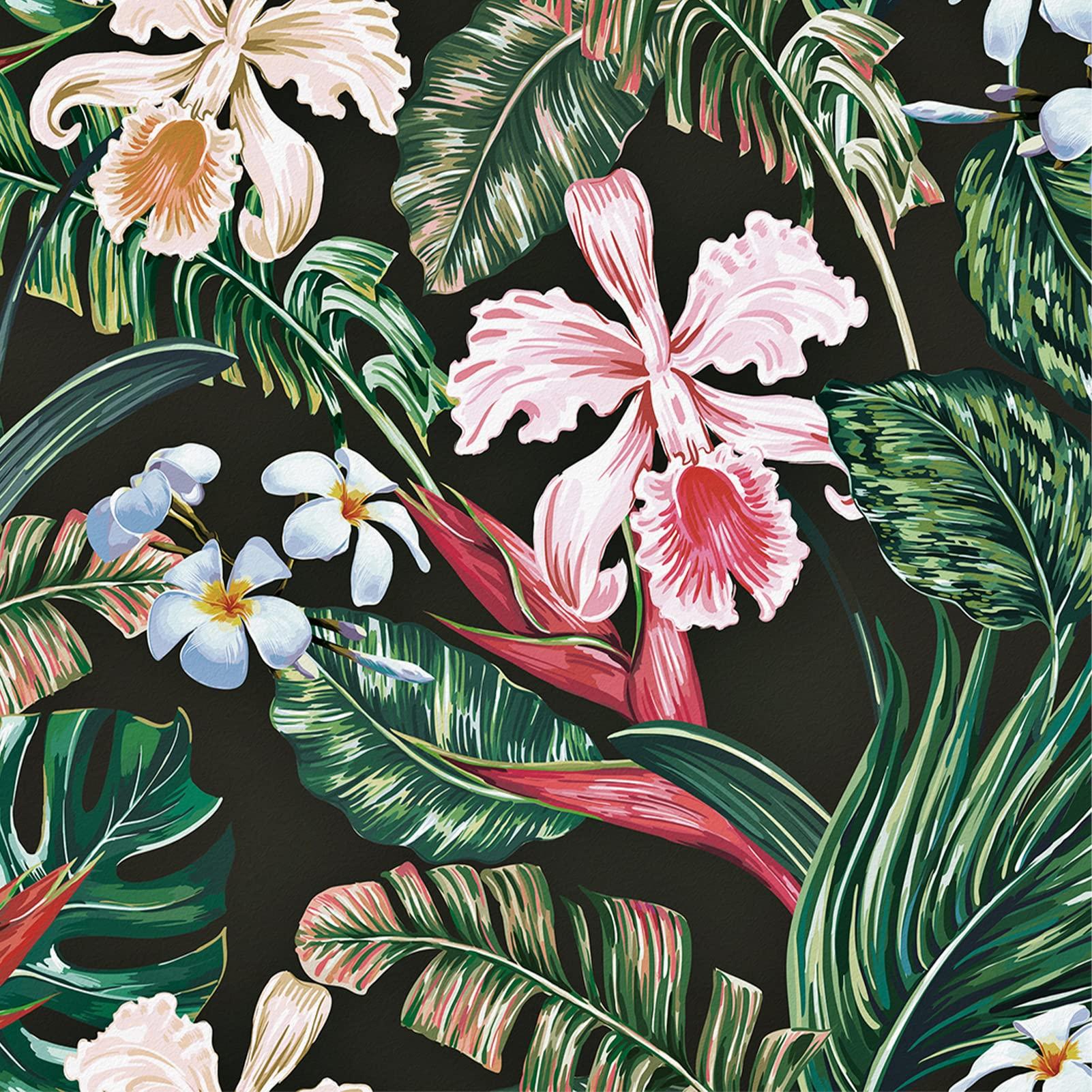 Tropical Flower Wallpapers - Top Free Tropical Flower Backgrounds ...