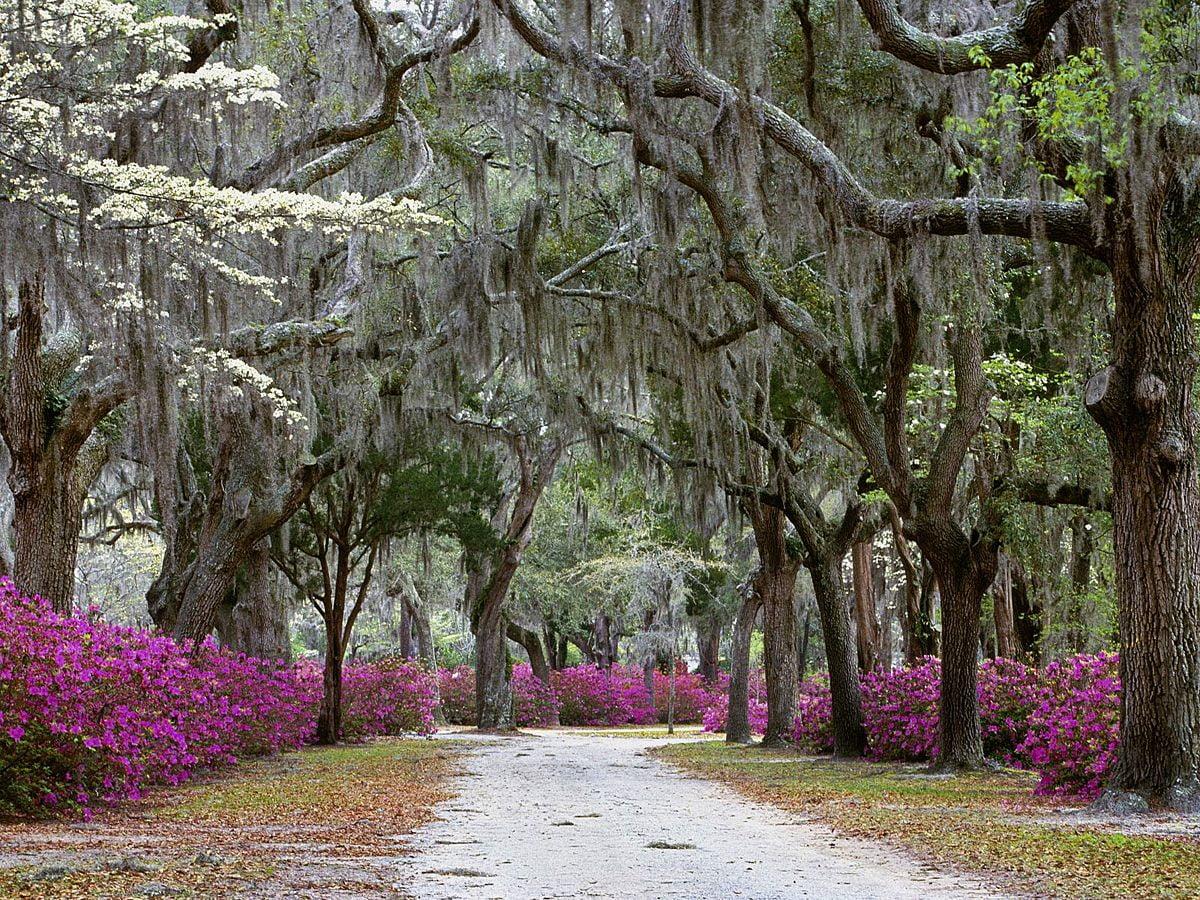 Savannah GA Wallpapers - Top Free Savannah GA Backgrounds - WallpaperAccess