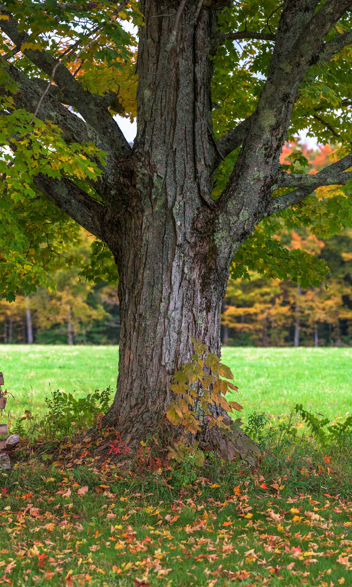 1200x2000 Wallpapers - Top Free 1200x2000 Backgrounds - WallpaperAccess