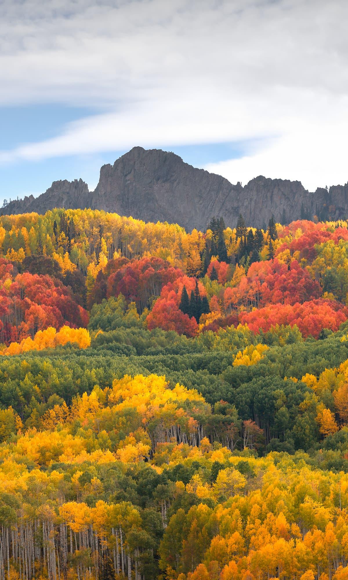 1200x2000 Wallpapers - Top Free 1200x2000 Backgrounds - WallpaperAccess