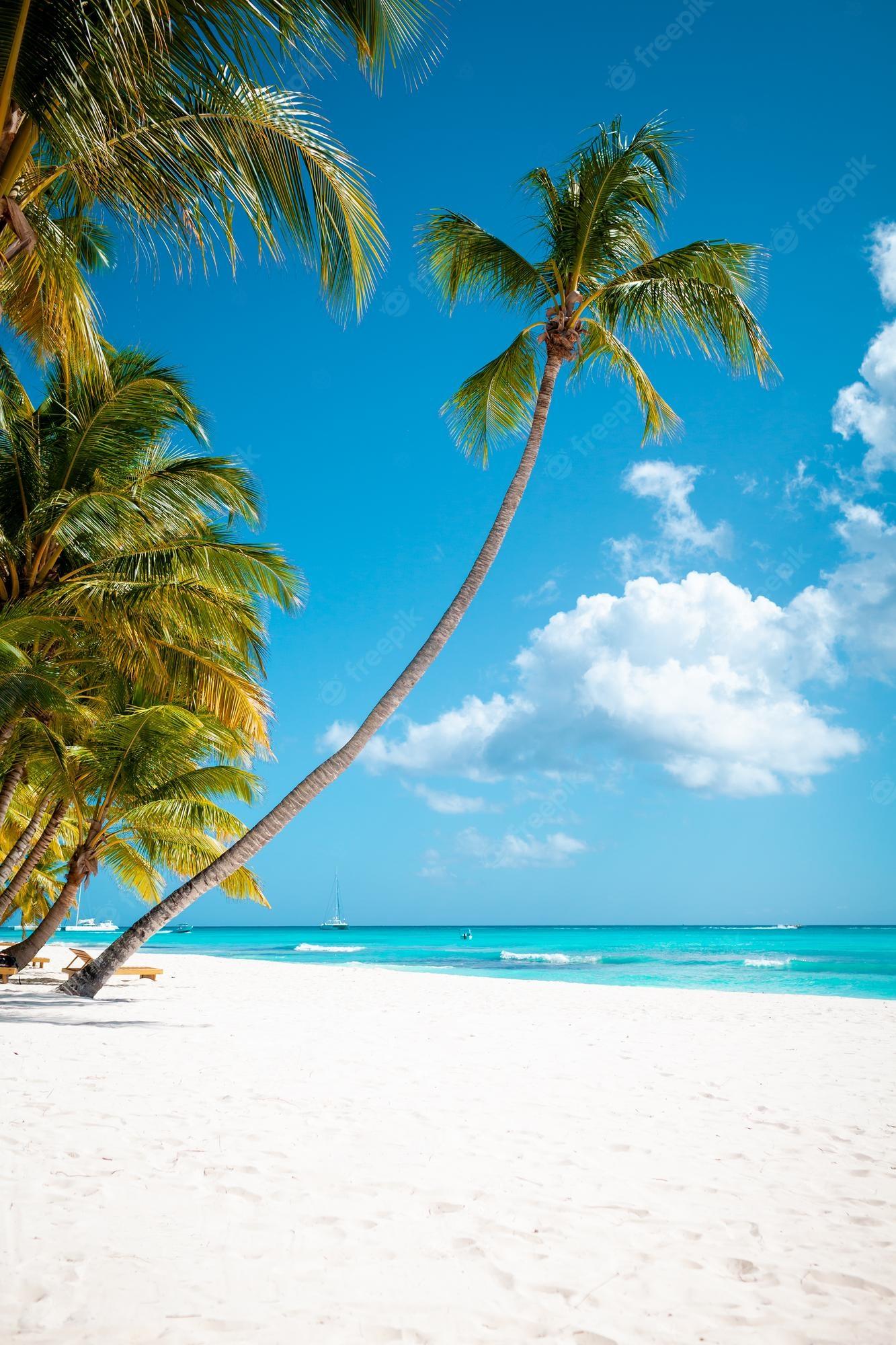 Caribbean Beaches Wallpapers - Top Free Caribbean Beaches Backgrounds ...