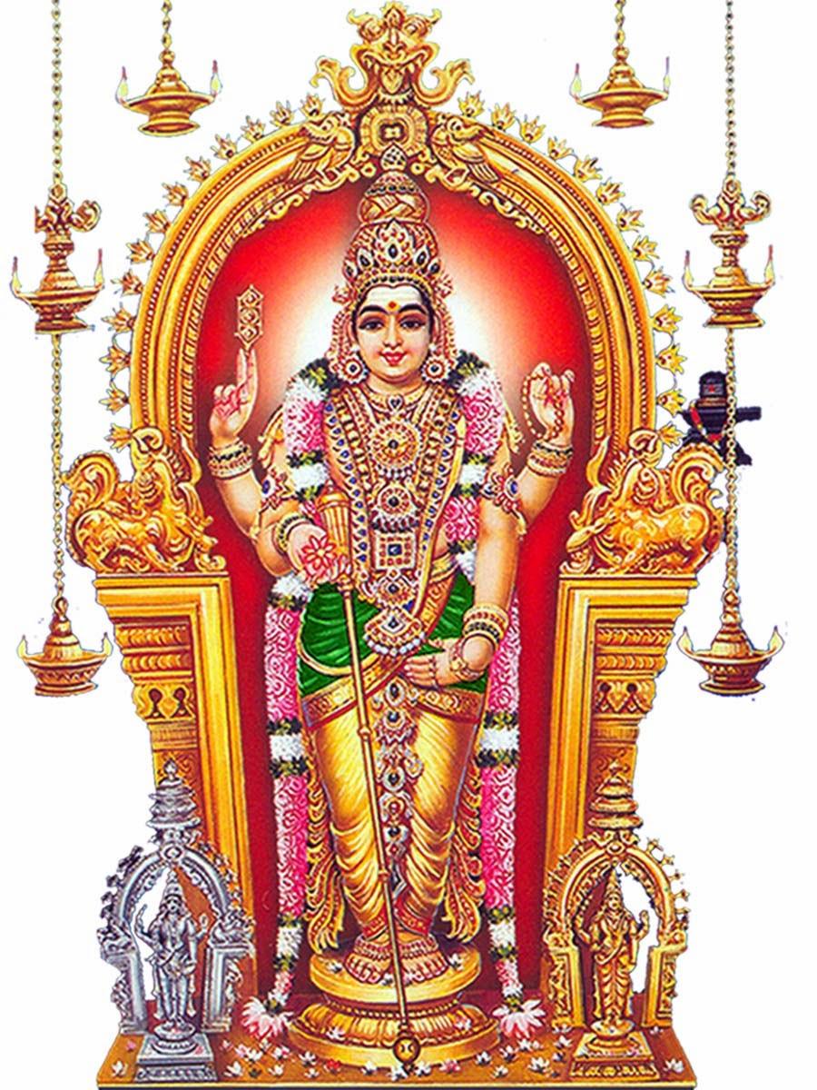 God Murugan HD Wallpapers - Top Free God Murugan HD Backgrounds ...