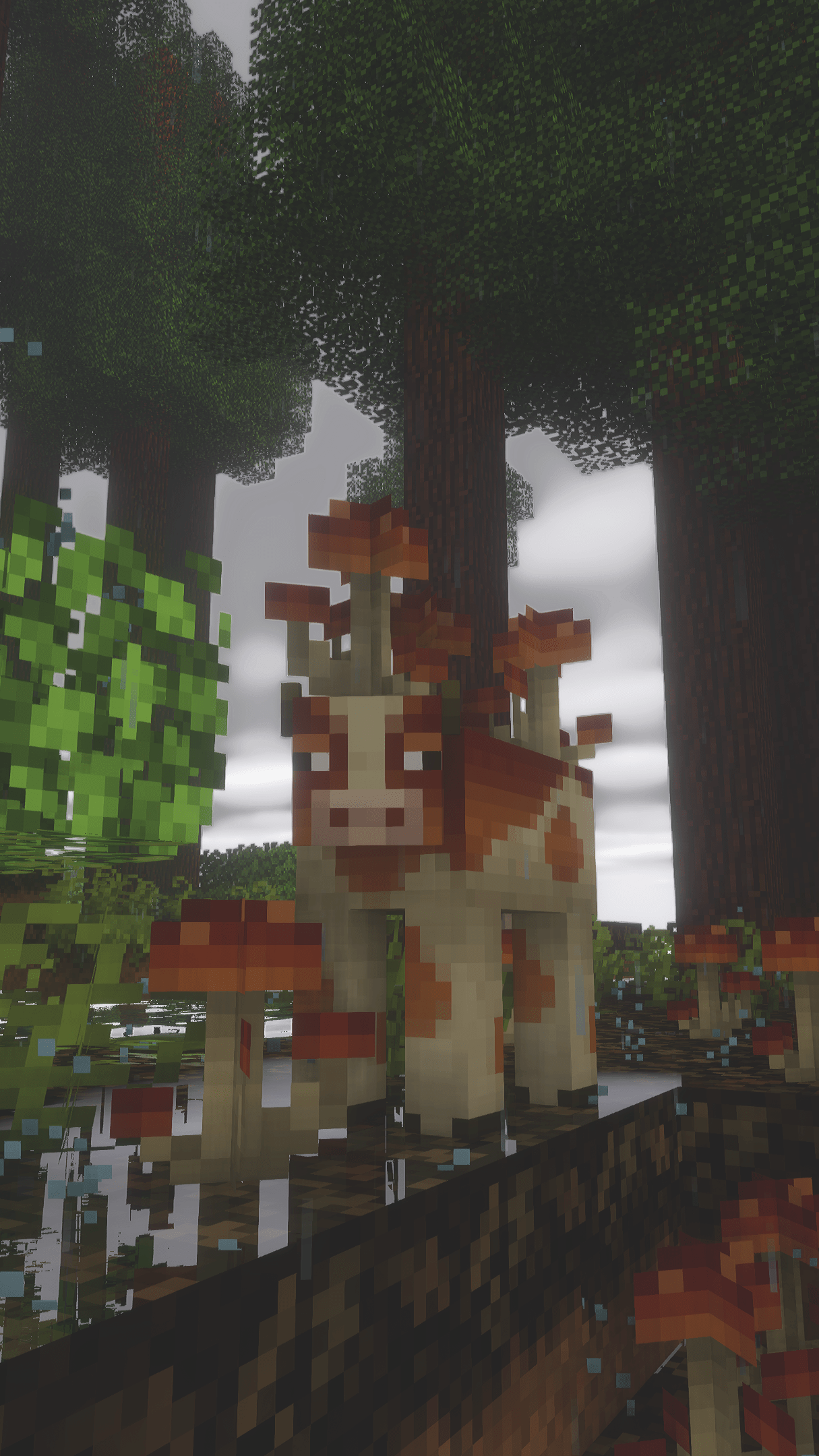 Minecraft Mooshroom Wallpapers - Top Free Minecraft Mooshroom ...