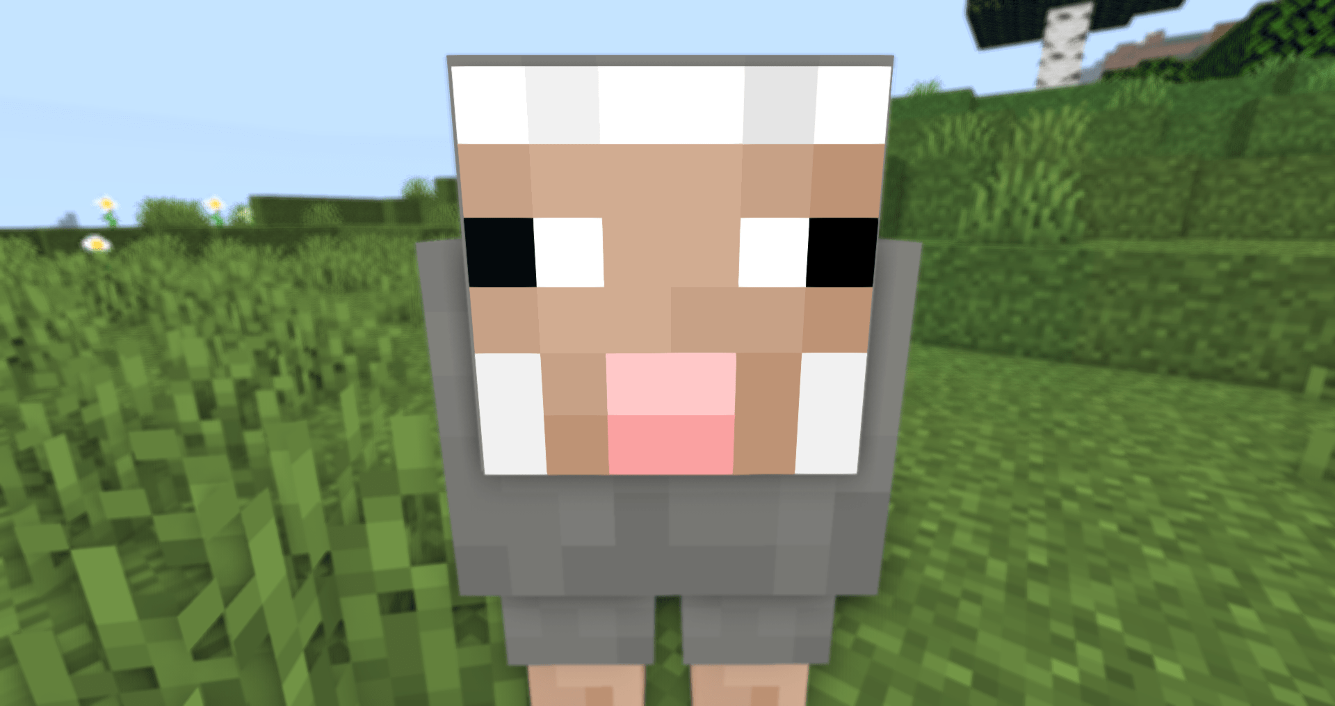 Minecraft Sheep Wallpapers - Top Free Minecraft Sheep Backgrounds ...