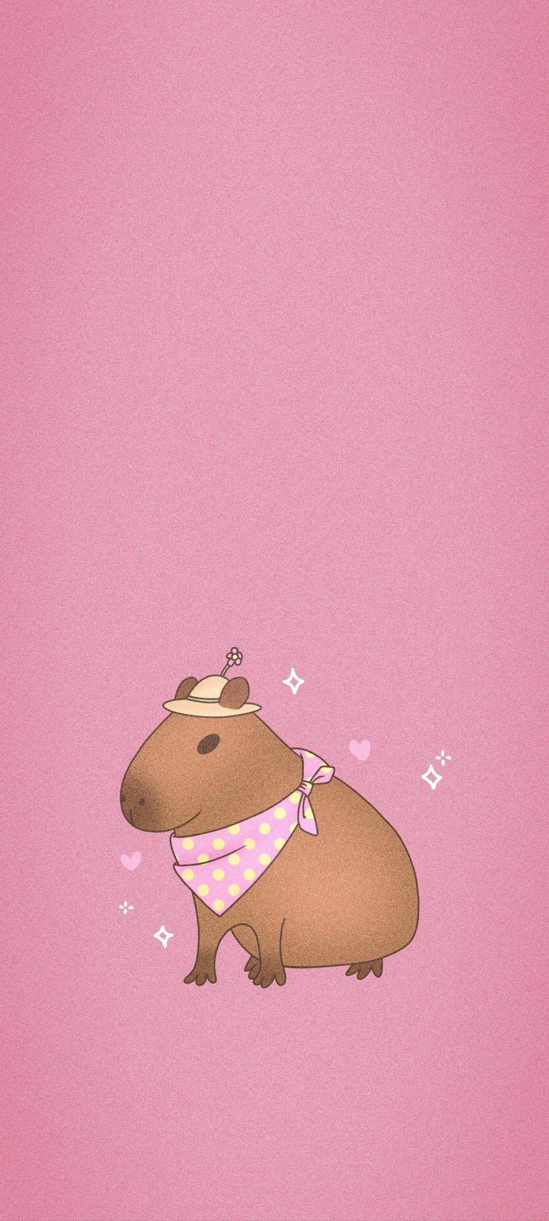 Baby Capybara Wallpapers - Top Free Baby Capybara Backgrounds ...