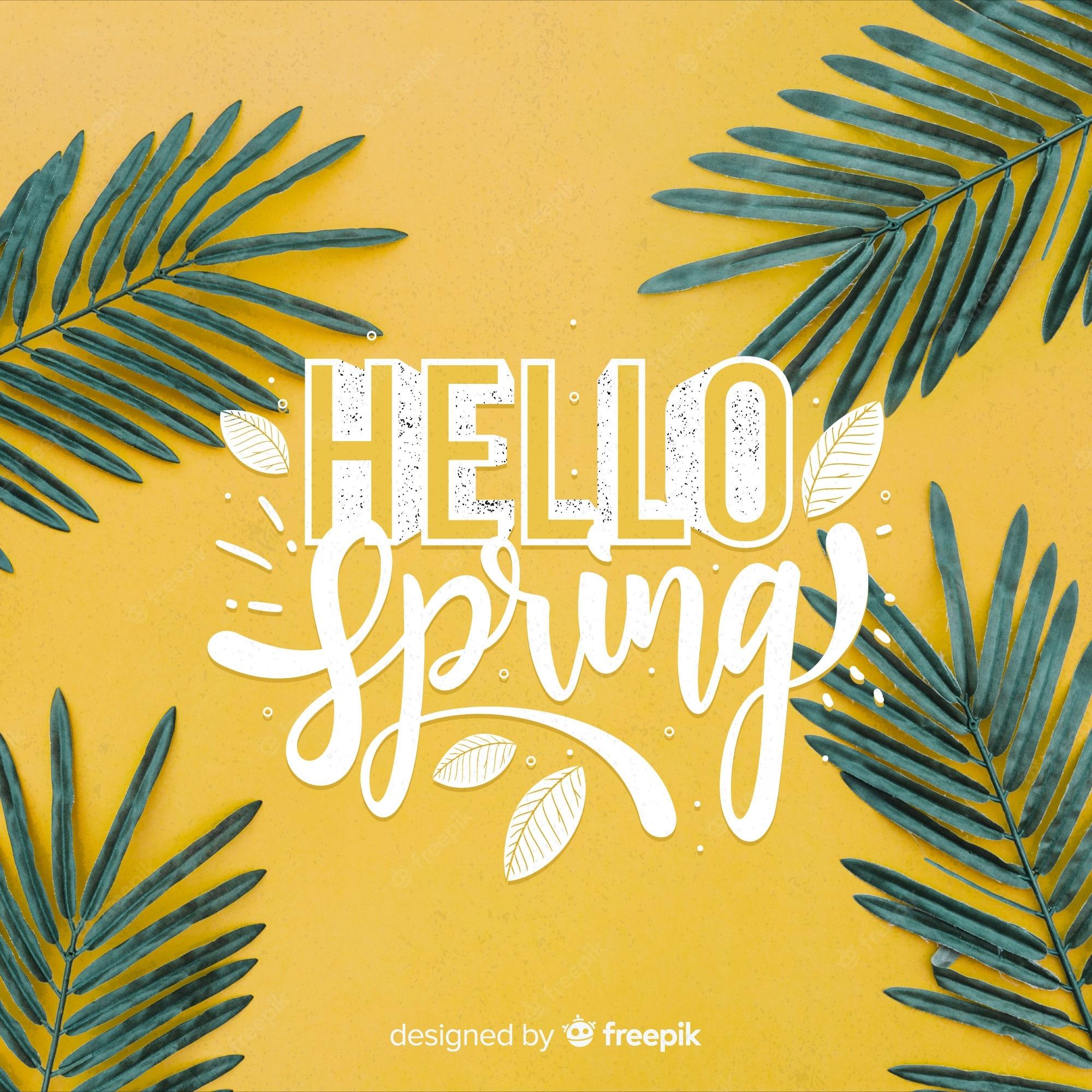 Spring Break Wallpapers - Top Free Spring Break Backgrounds ...