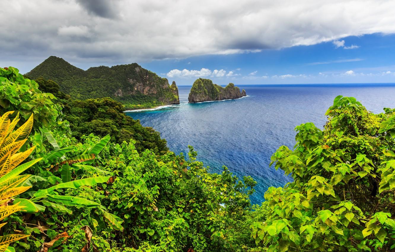 Jungle Island Wallpapers - Top Free Jungle Island Backgrounds ...