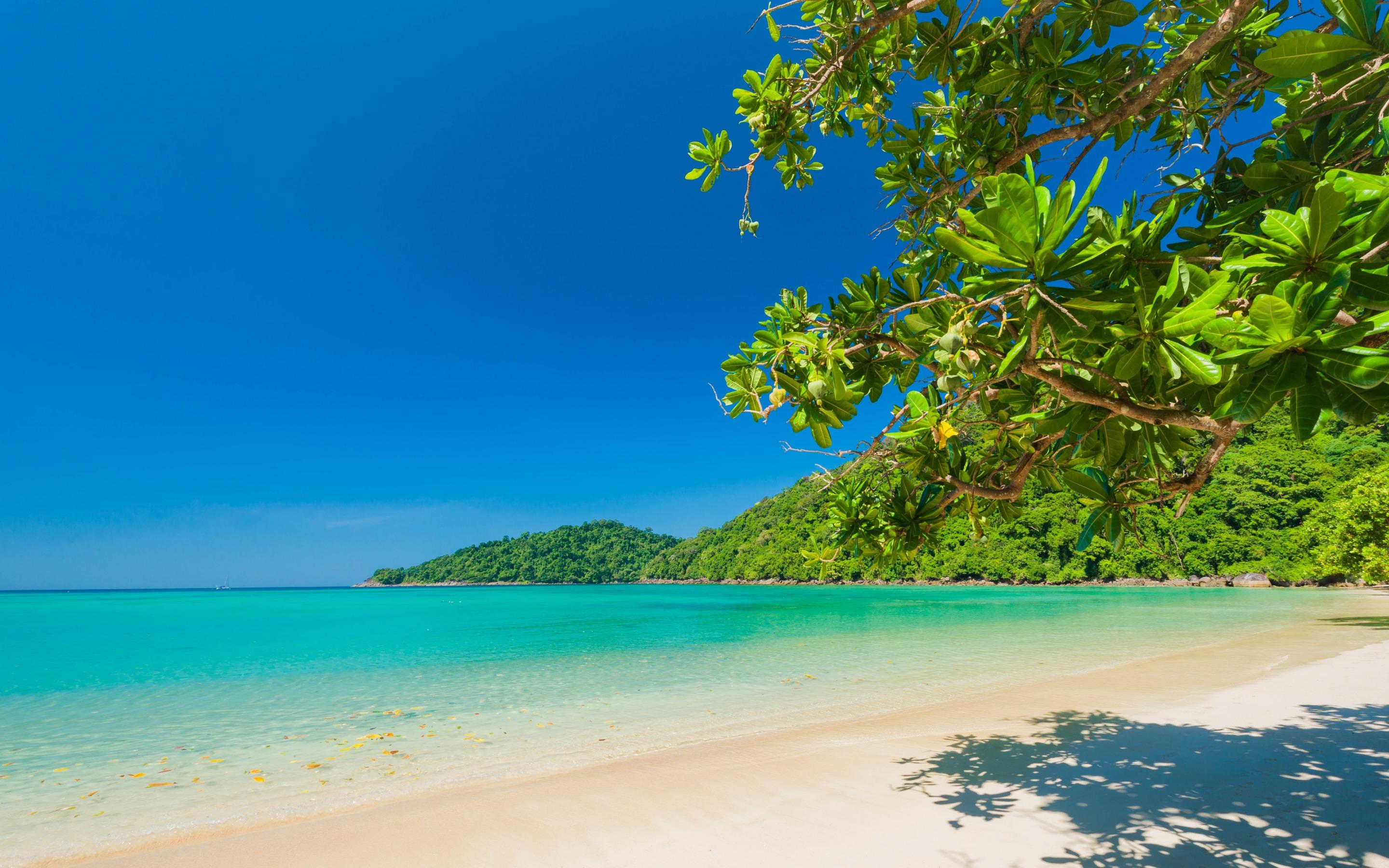 Jungle Island Wallpapers - Top Free Jungle Island Backgrounds ...