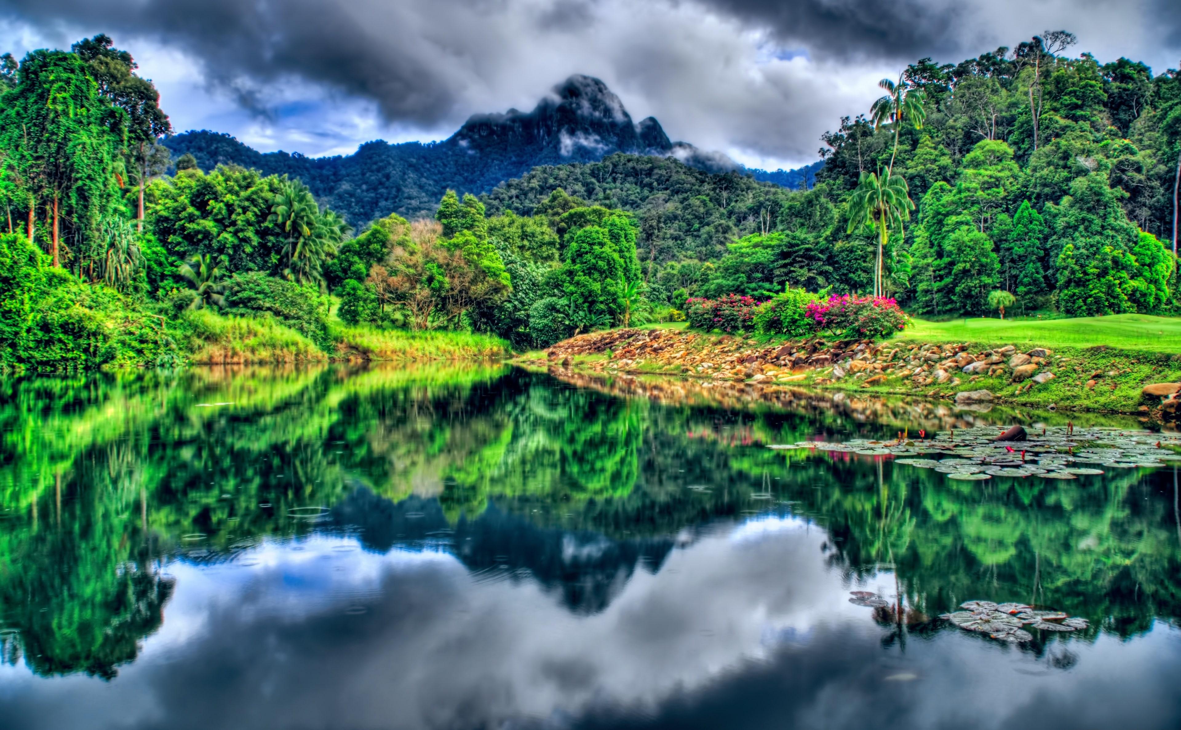 Jungle Island Wallpapers - Top Free Jungle Island Backgrounds ...