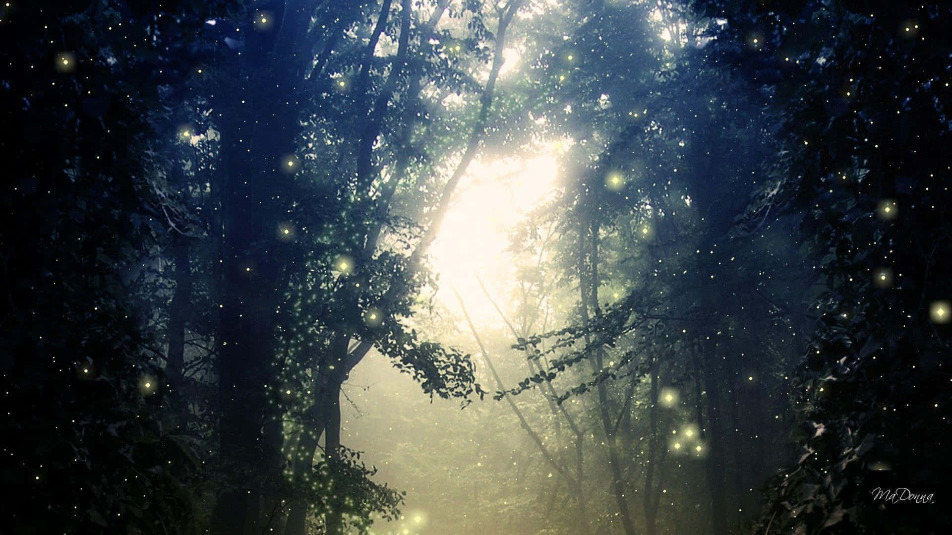 Firefly Forest Wallpapers - Top Free Firefly Forest Backgrounds ...
