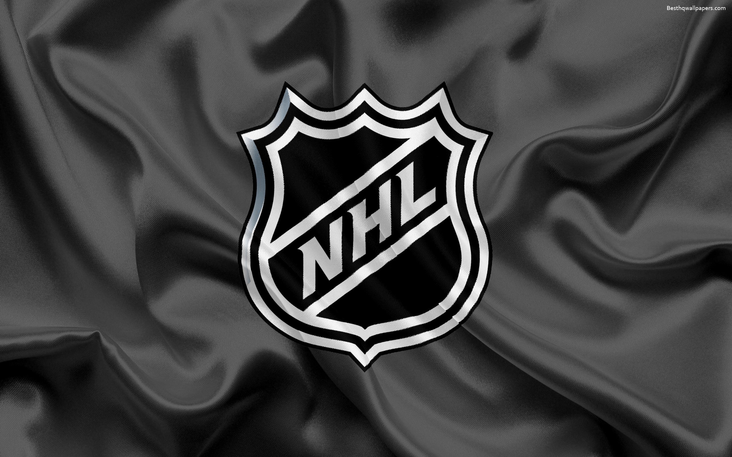NHL Logo Wallpapers - Top Free NHL Logo Backgrounds - WallpaperAccess