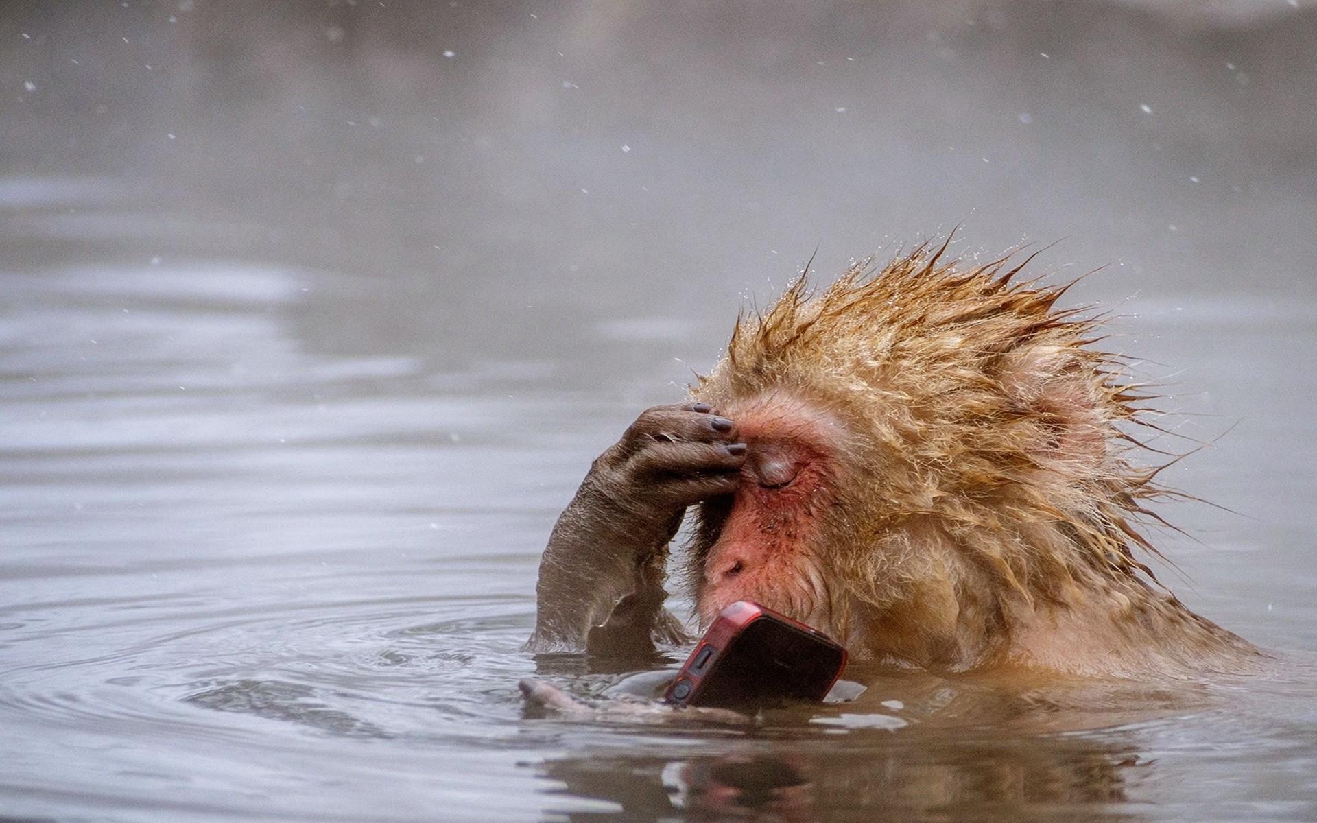 Facepalm Wallpapers - Top Free Facepalm Backgrounds - WallpaperAccess