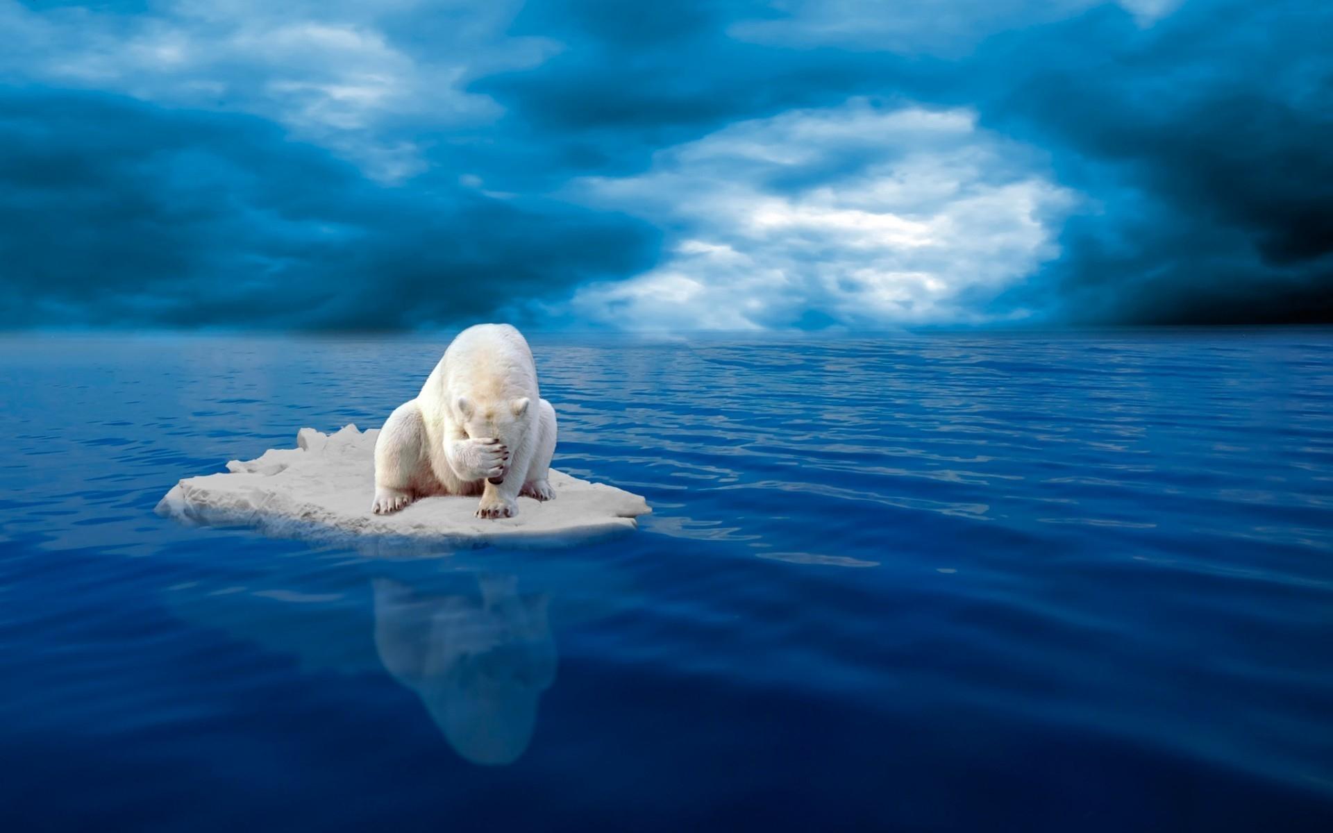 Facepalm Wallpapers - Top Free Facepalm Backgrounds - WallpaperAccess