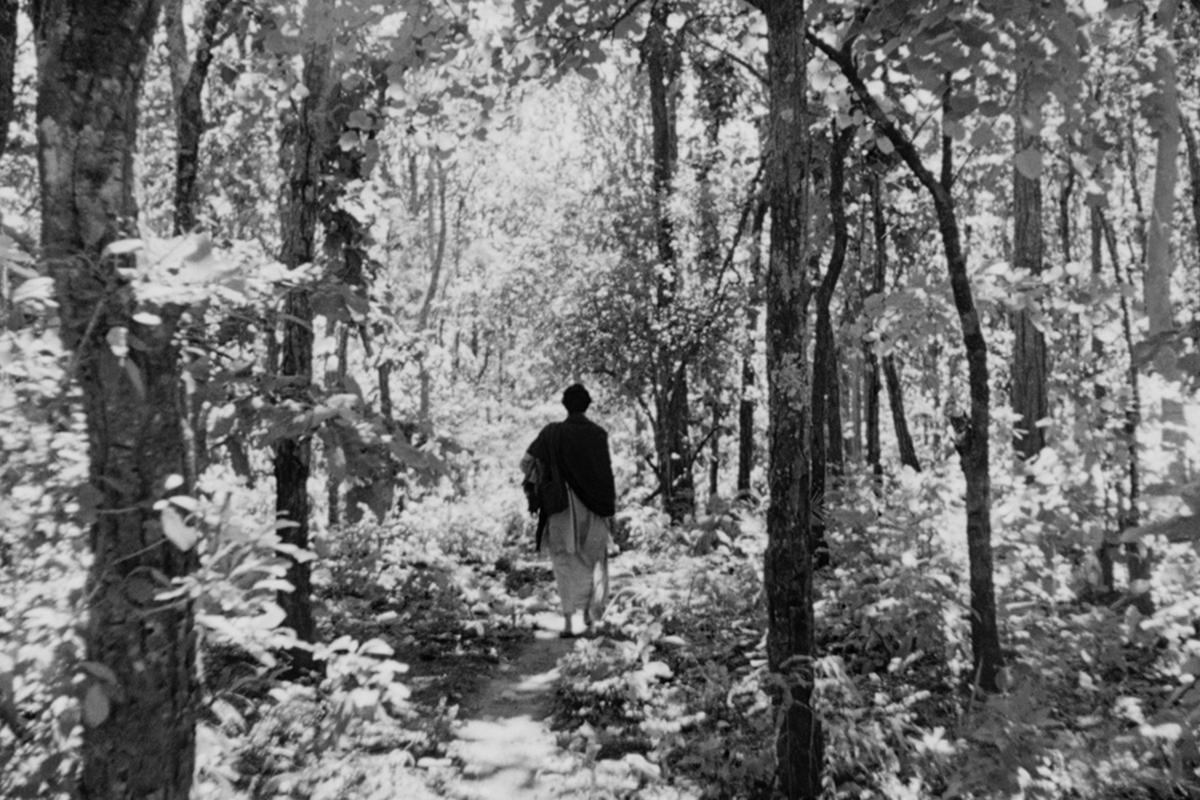 Apur Sansar Wallpapers - Top Free Apur Sansar Backgrounds - WallpaperAccess