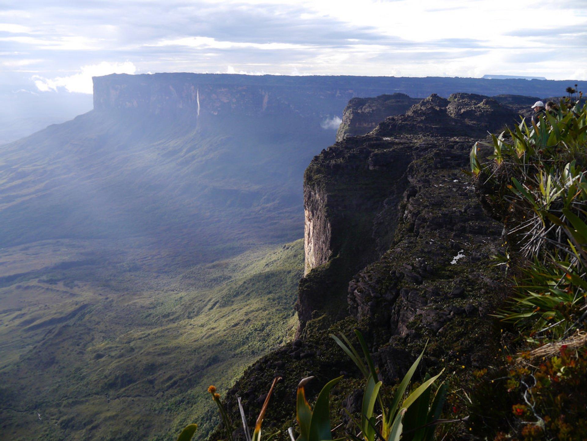 Roraima Wallpapers - Top Free Roraima Backgrounds - WallpaperAccess
