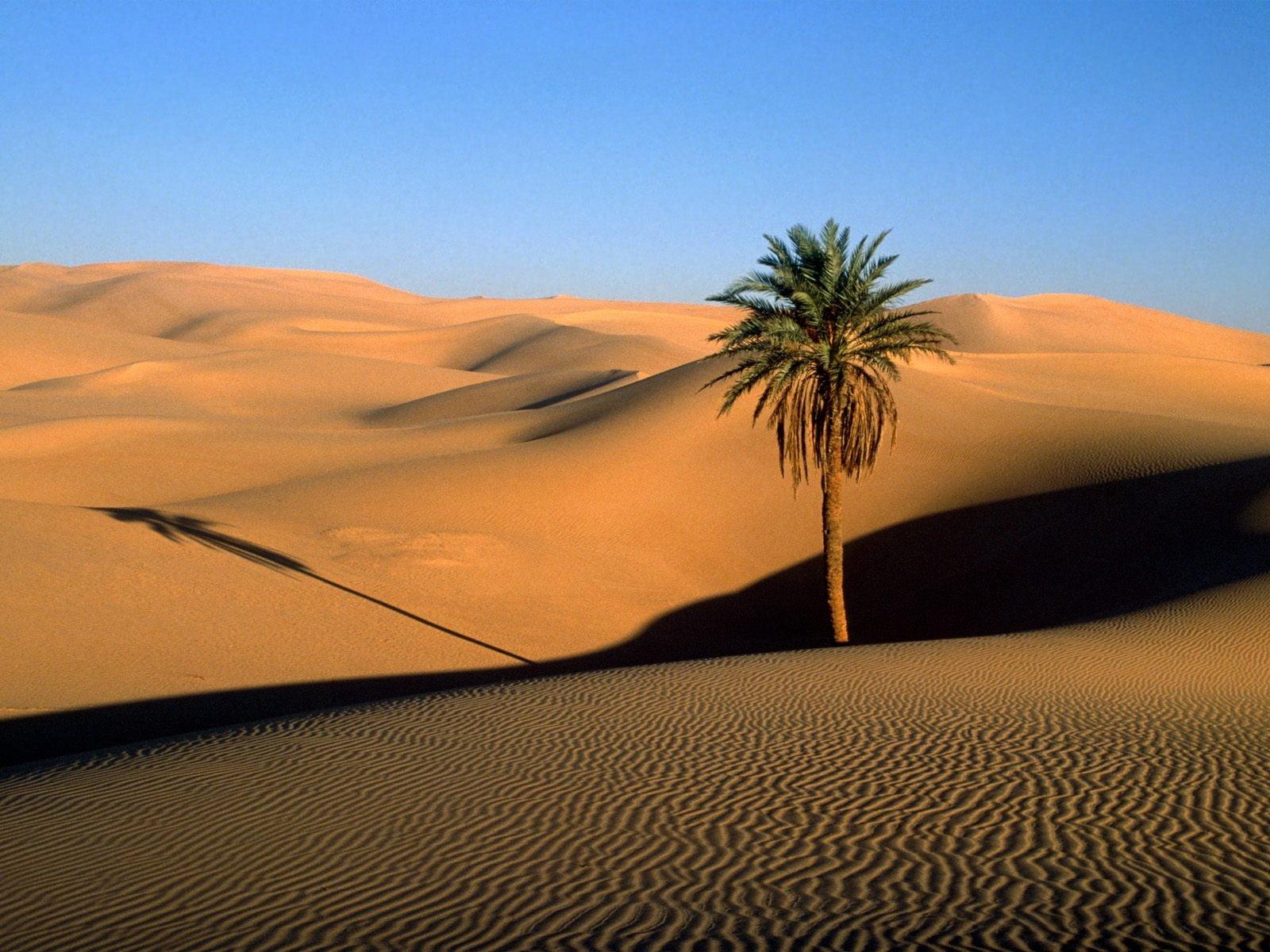 North Africa Wallpapers - Top Free North Africa Backgrounds ...