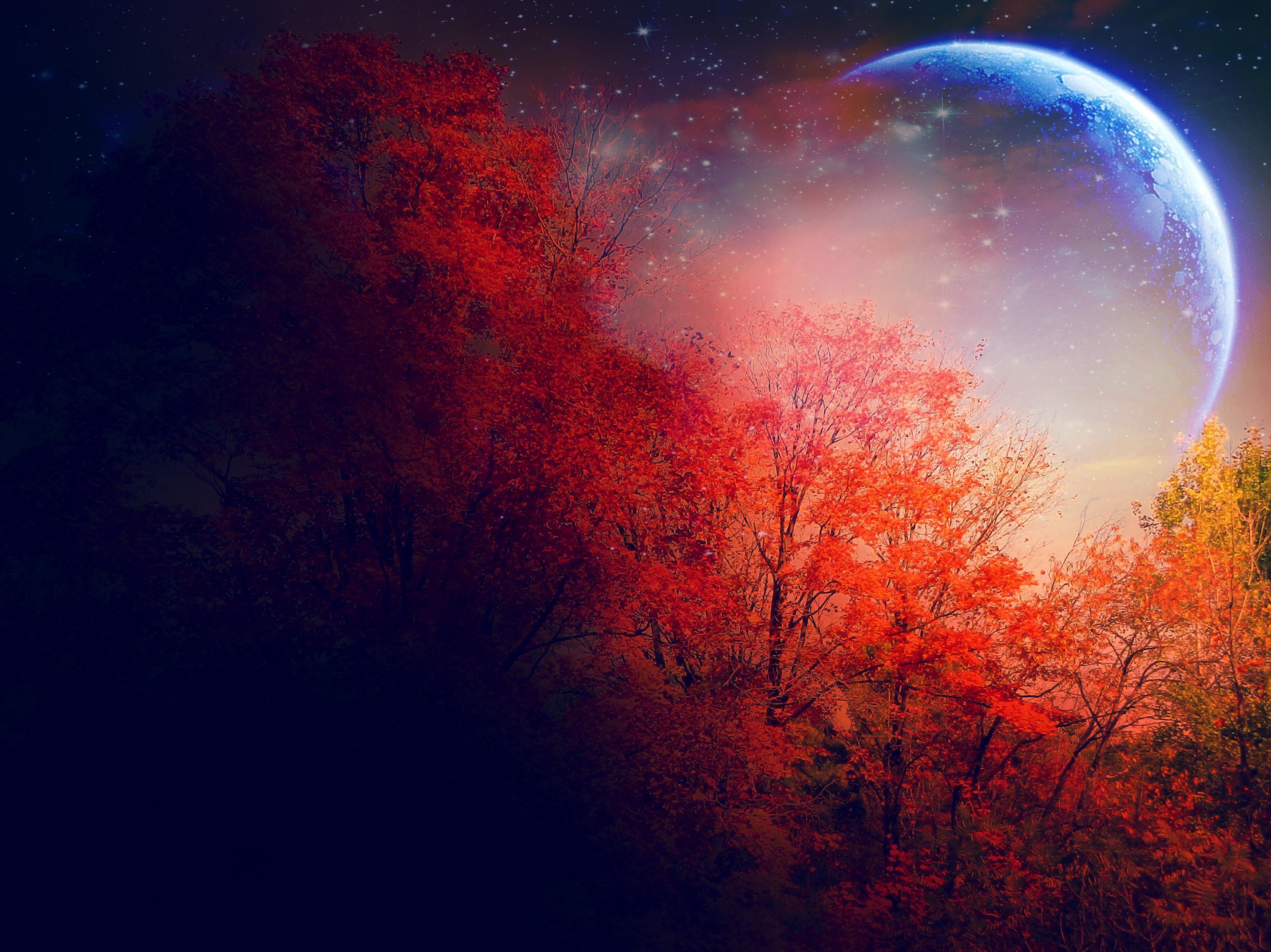 Moon Fall Wallpapers - Top Free Moon Fall Backgrounds - WallpaperAccess