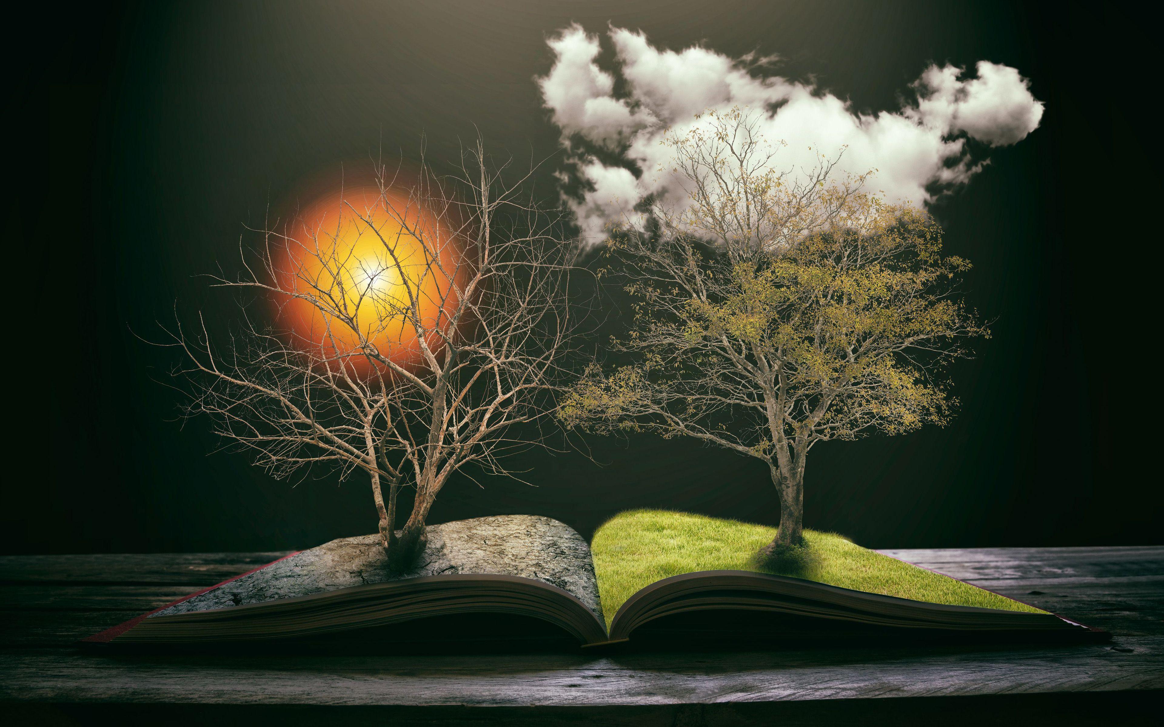 Save Trees Wallpapers - Top Free Save Trees Backgrounds - WallpaperAccess