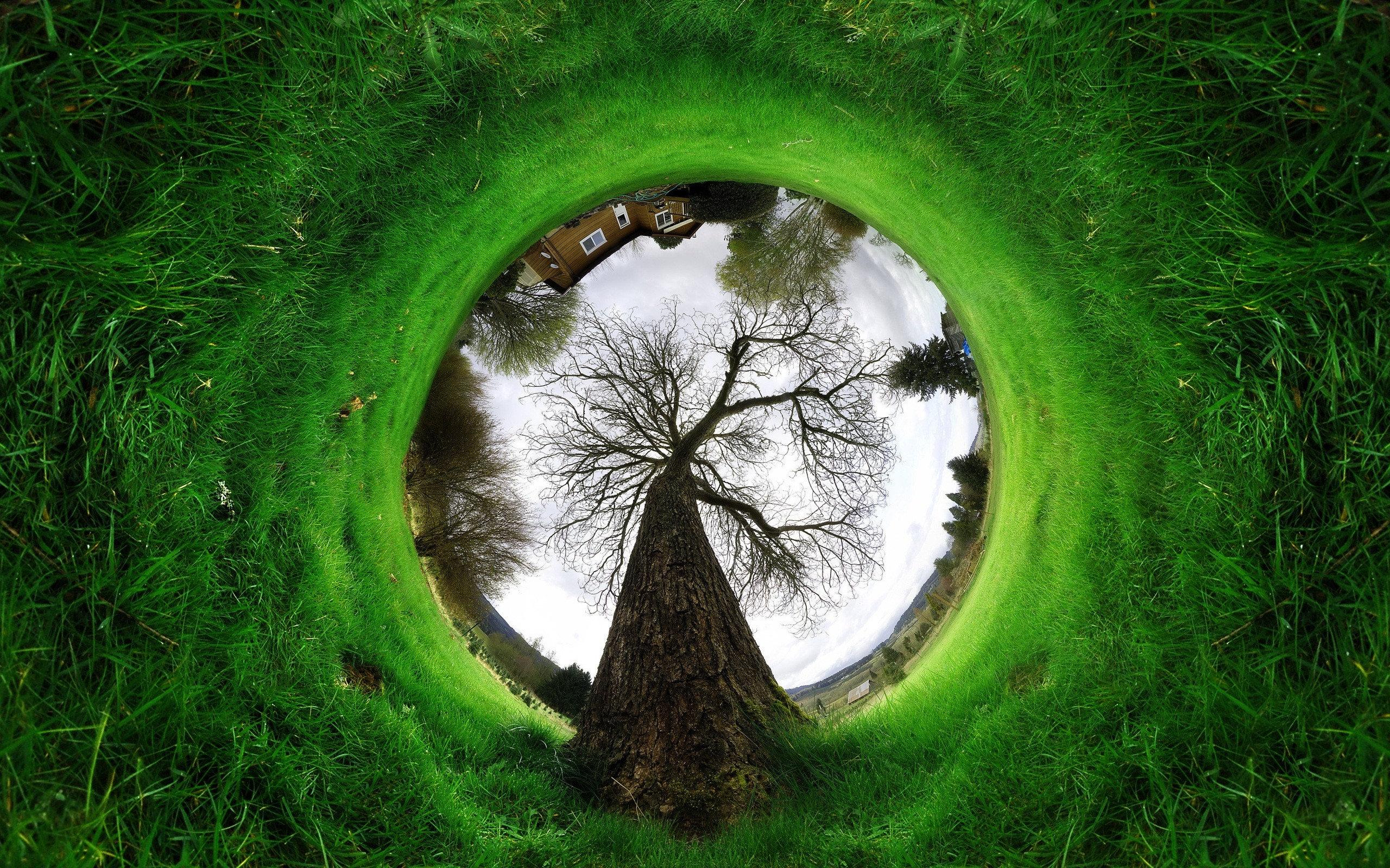 Save Trees Wallpapers - Top Free Save Trees Backgrounds - WallpaperAccess