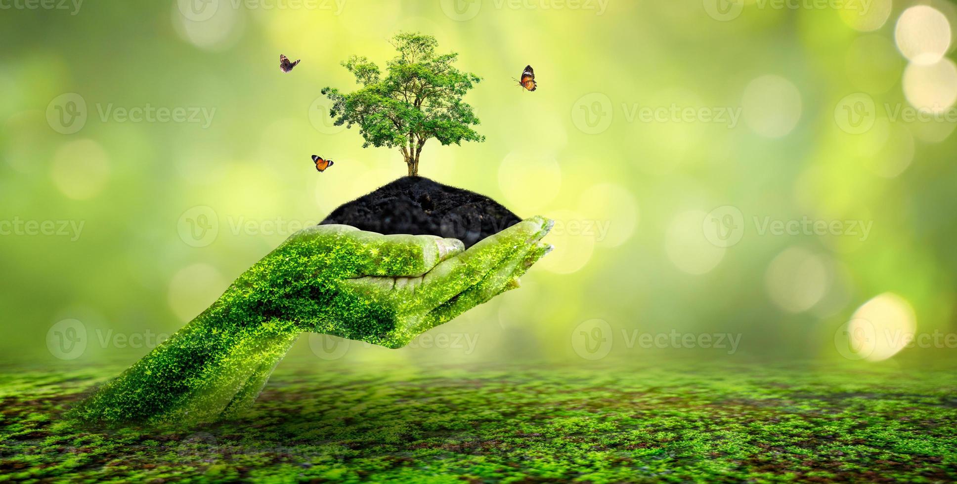 Save Trees Wallpapers - Top Free Save Trees Backgrounds - WallpaperAccess