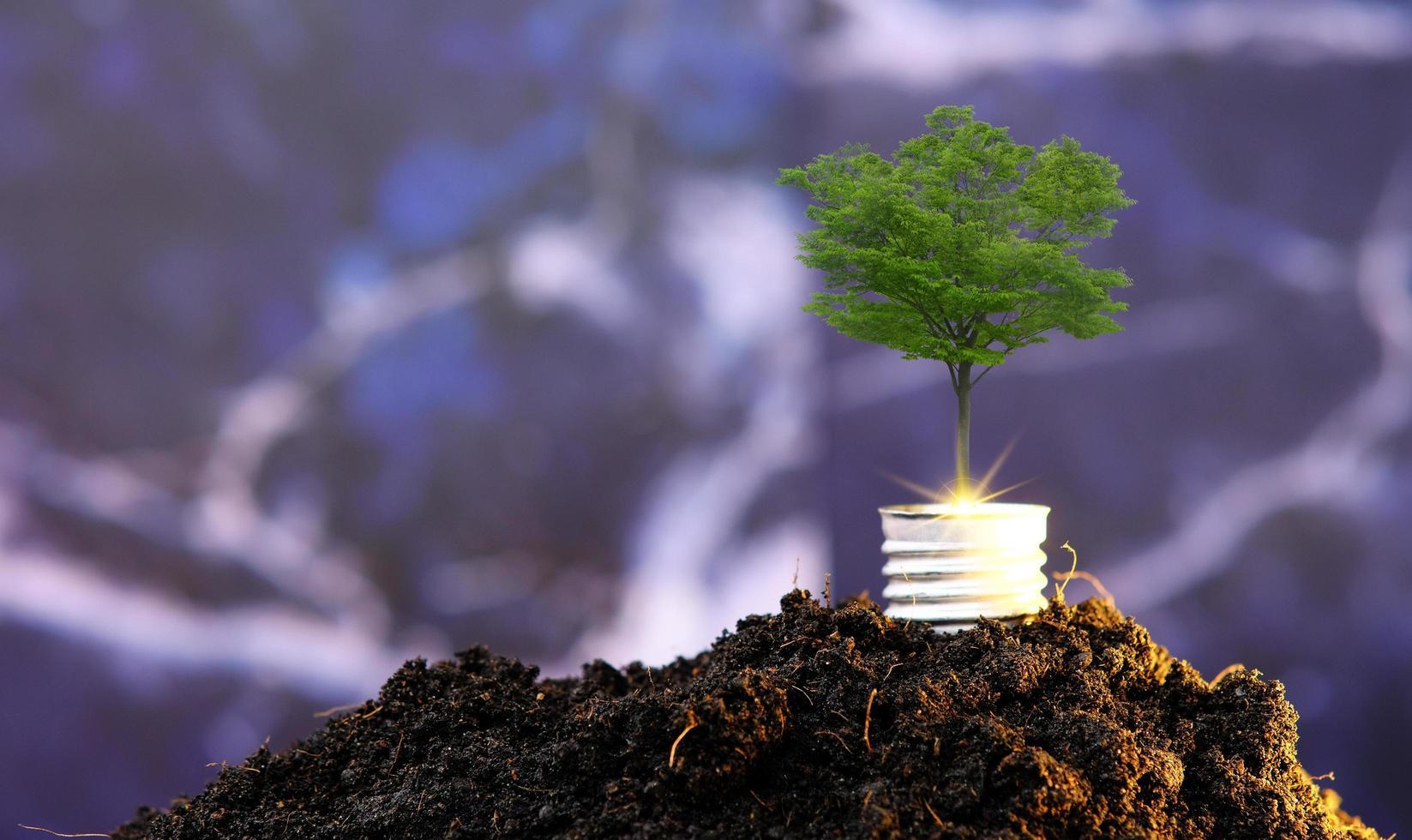 Save Trees Wallpapers - Top Free Save Trees Backgrounds - WallpaperAccess